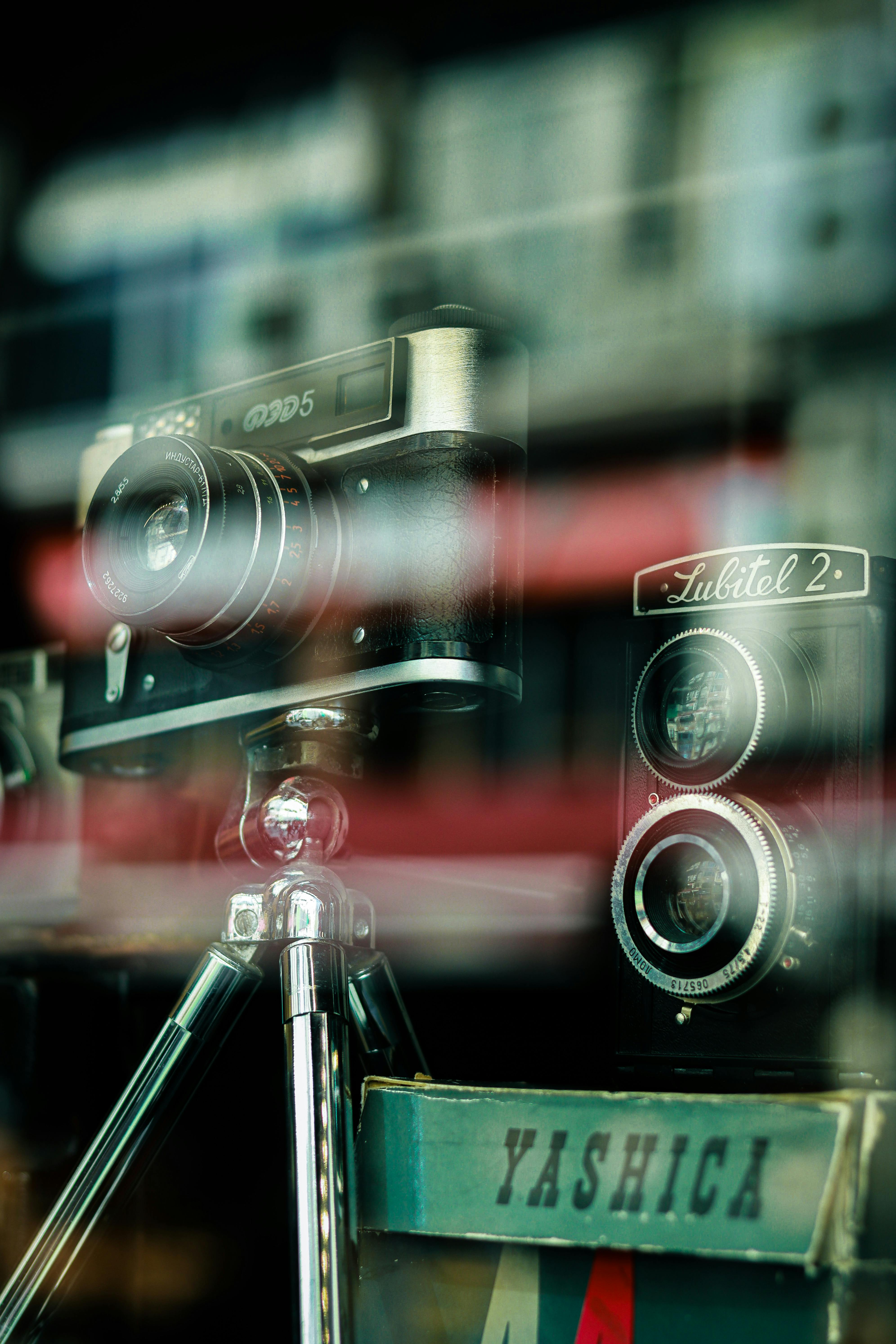 Retro Cameras in Showcase · Free Stock Photo