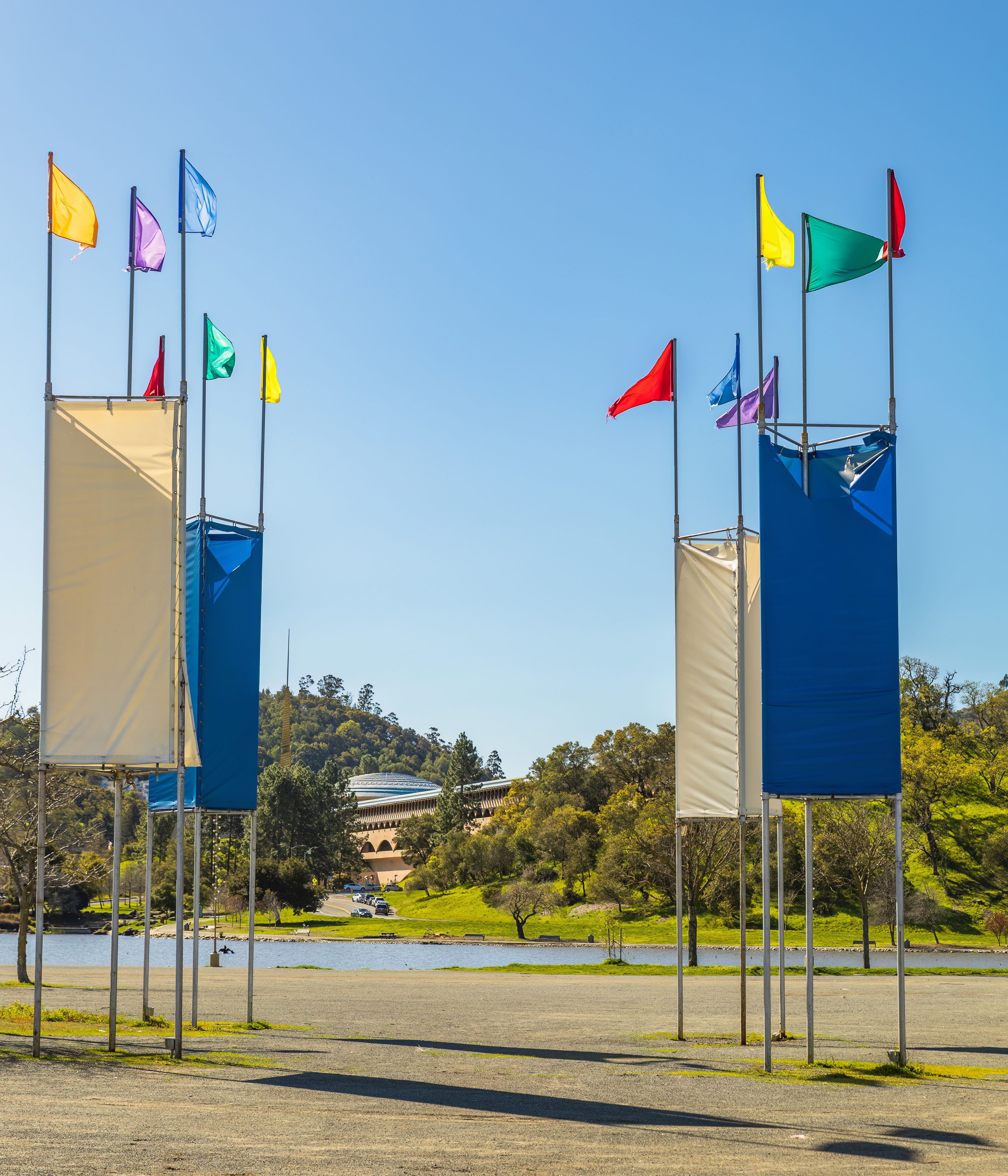 Flags of Different Countries on White Flagpoles · Free Stock Photo