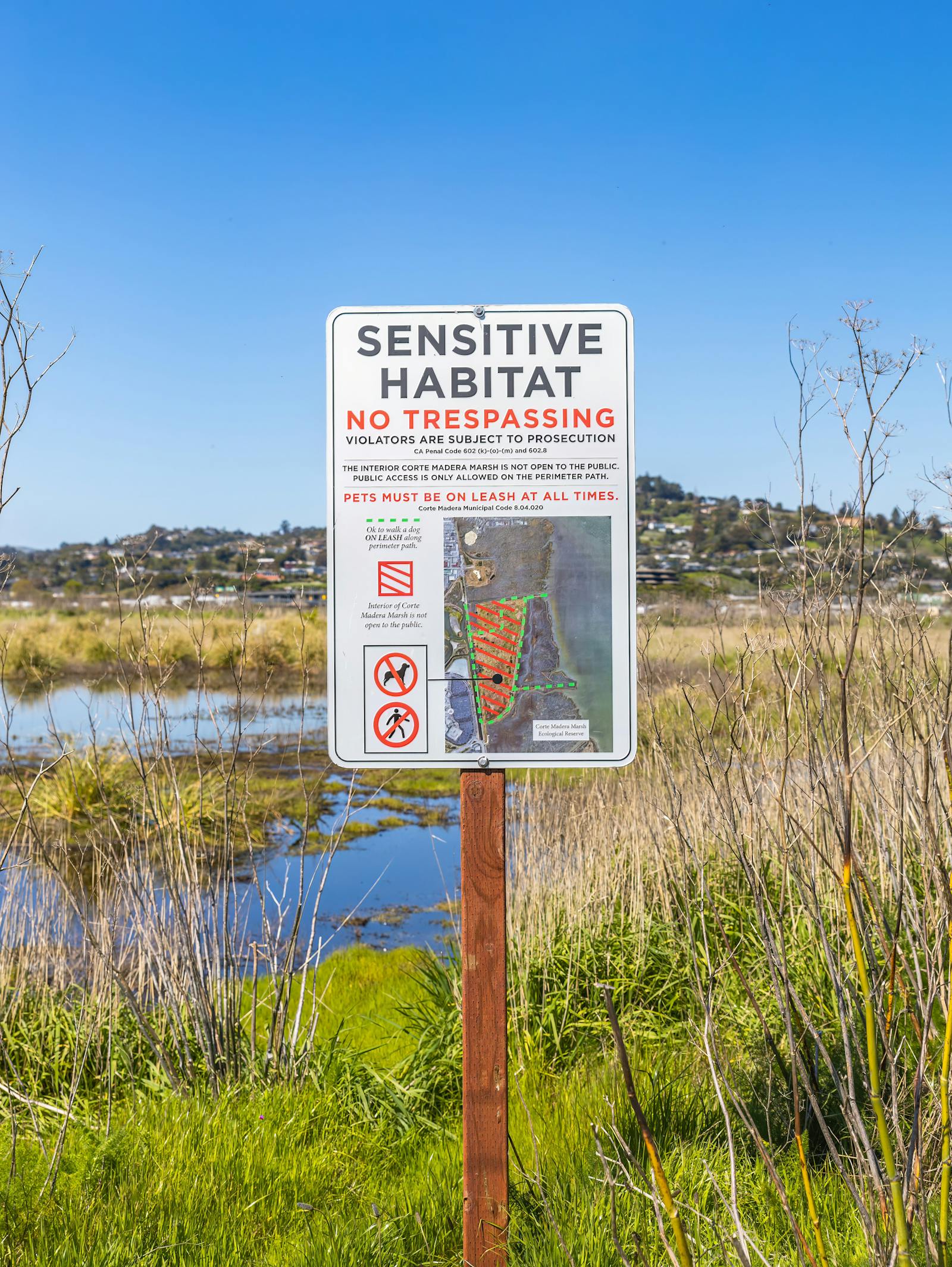 Borderline Photos, Download The BEST Free Borderline Stock Photos & HD ...