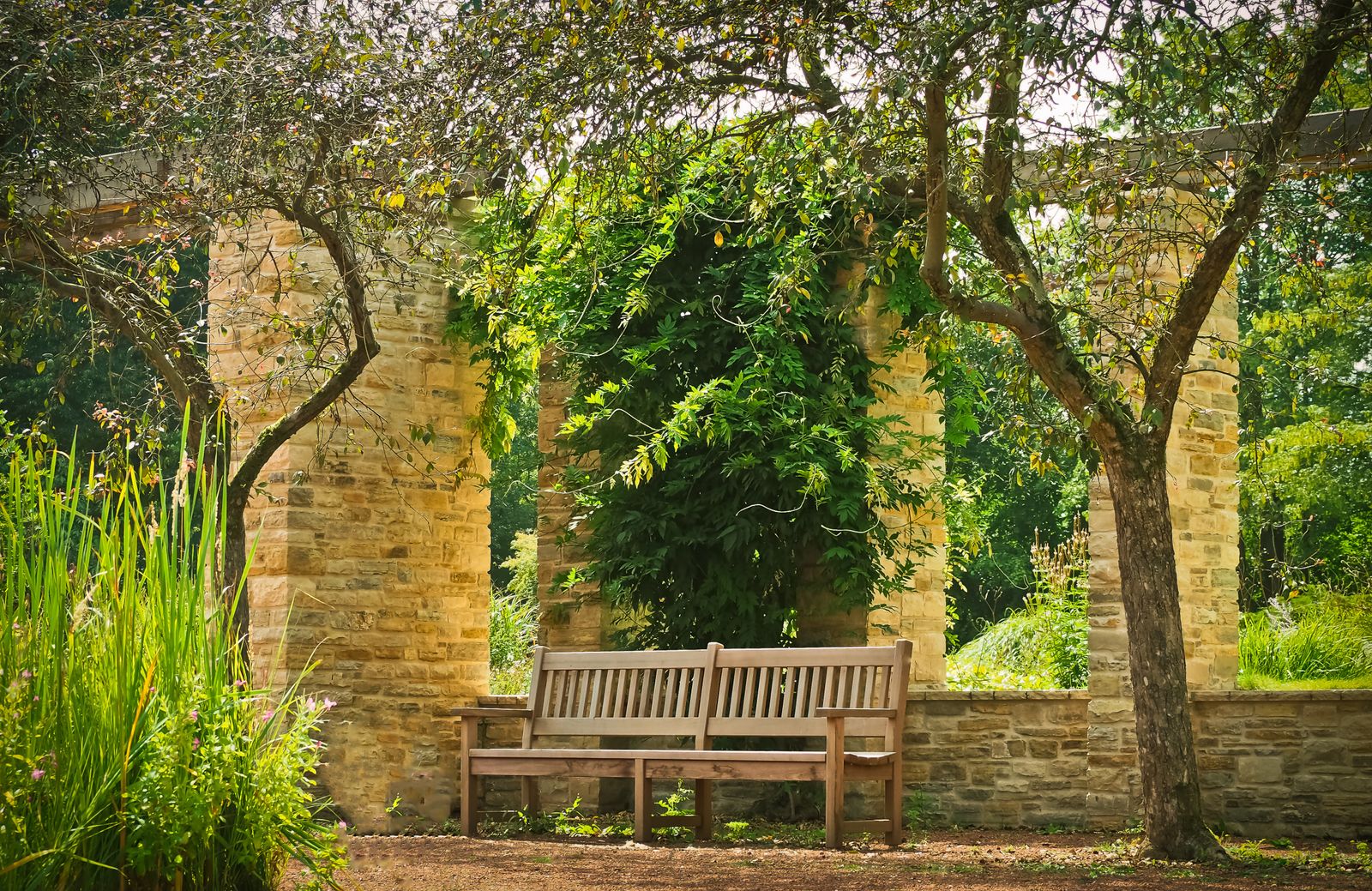 Park Bench Photos, Download The BEST Free Park Bench Stock Photos & HD ...