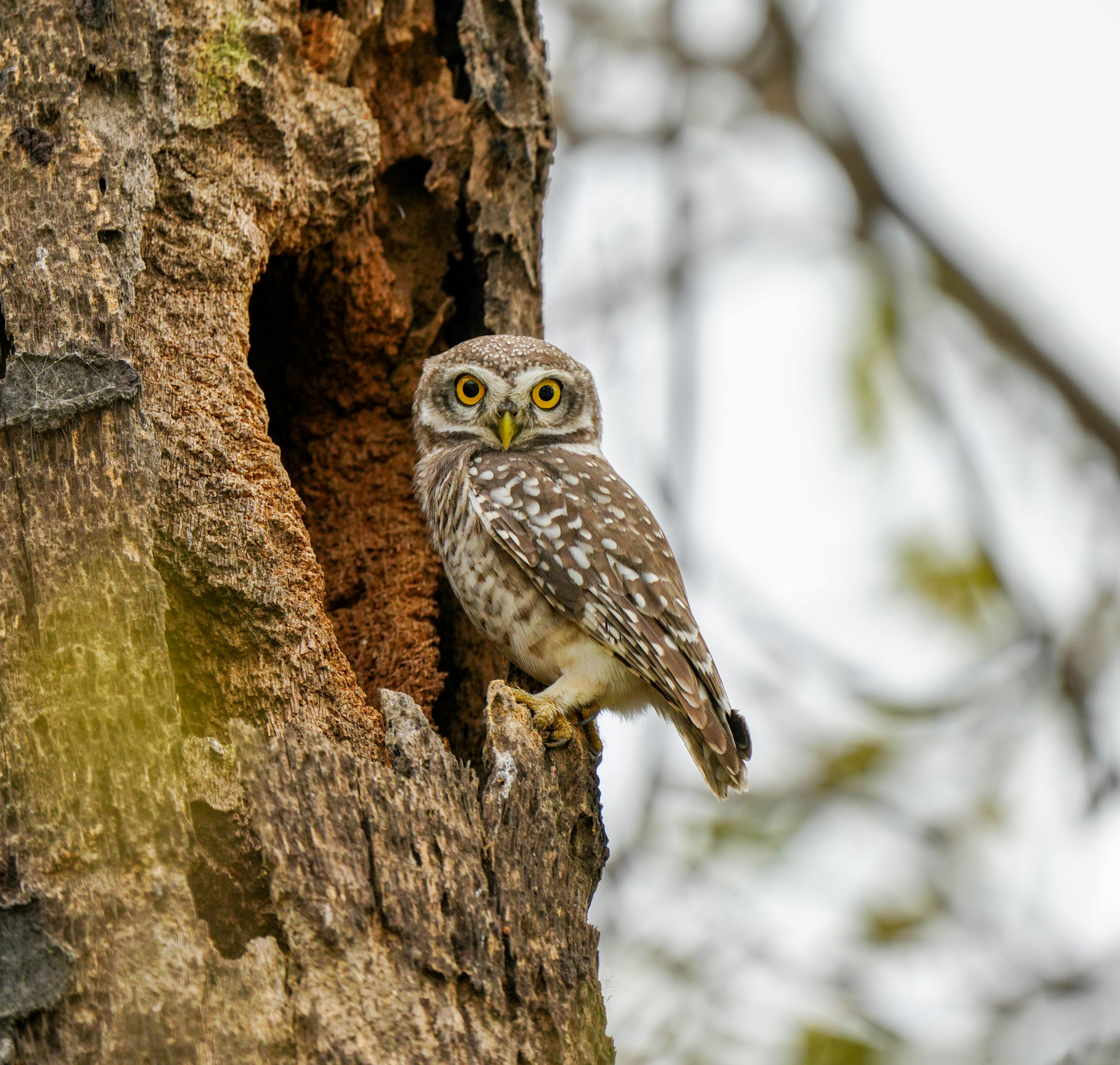 Prakruthik Photography Photos, Download The BEST Free Prakruthik ...