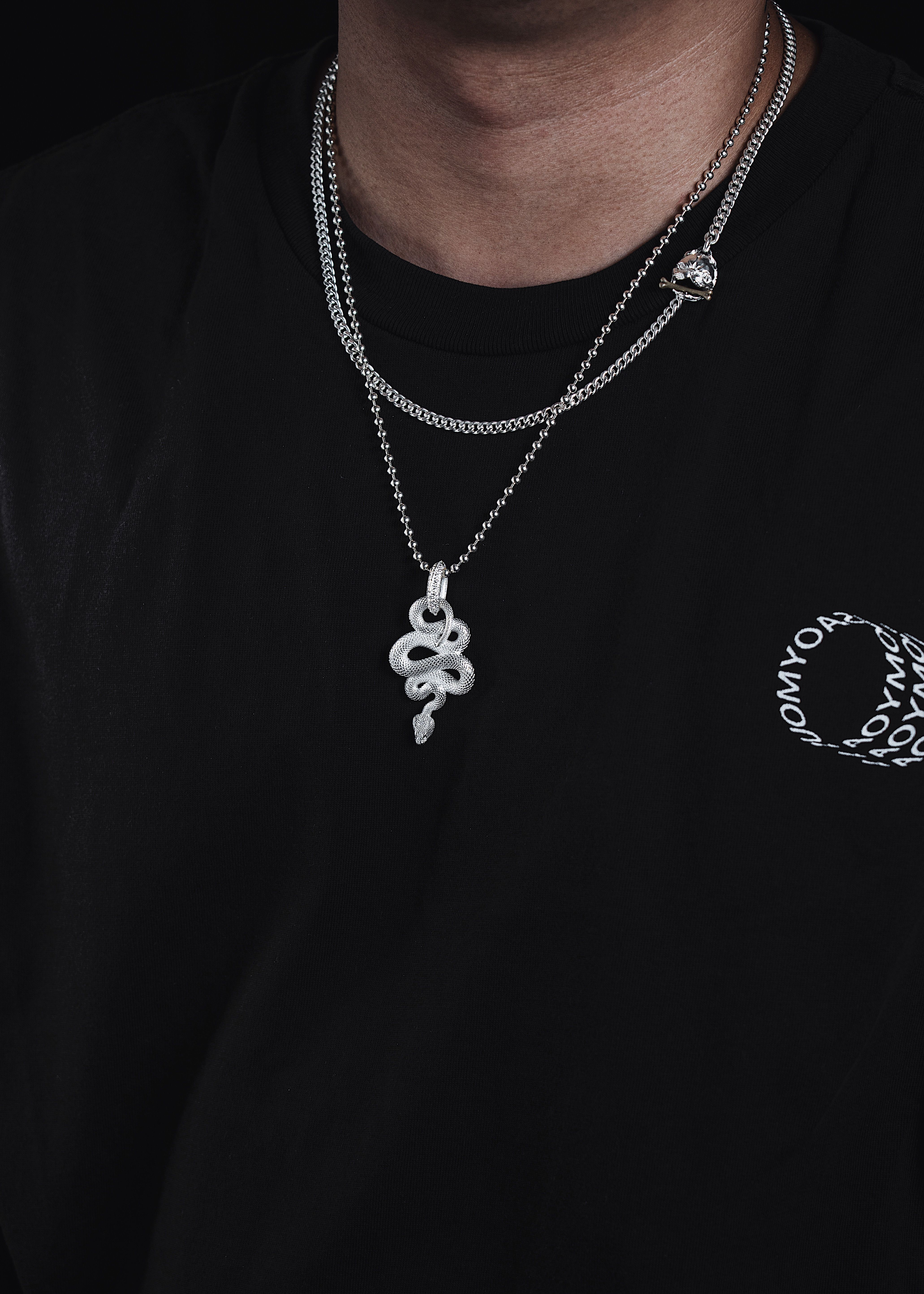 Man Wearing Snake Necklace · Free Stock Photo