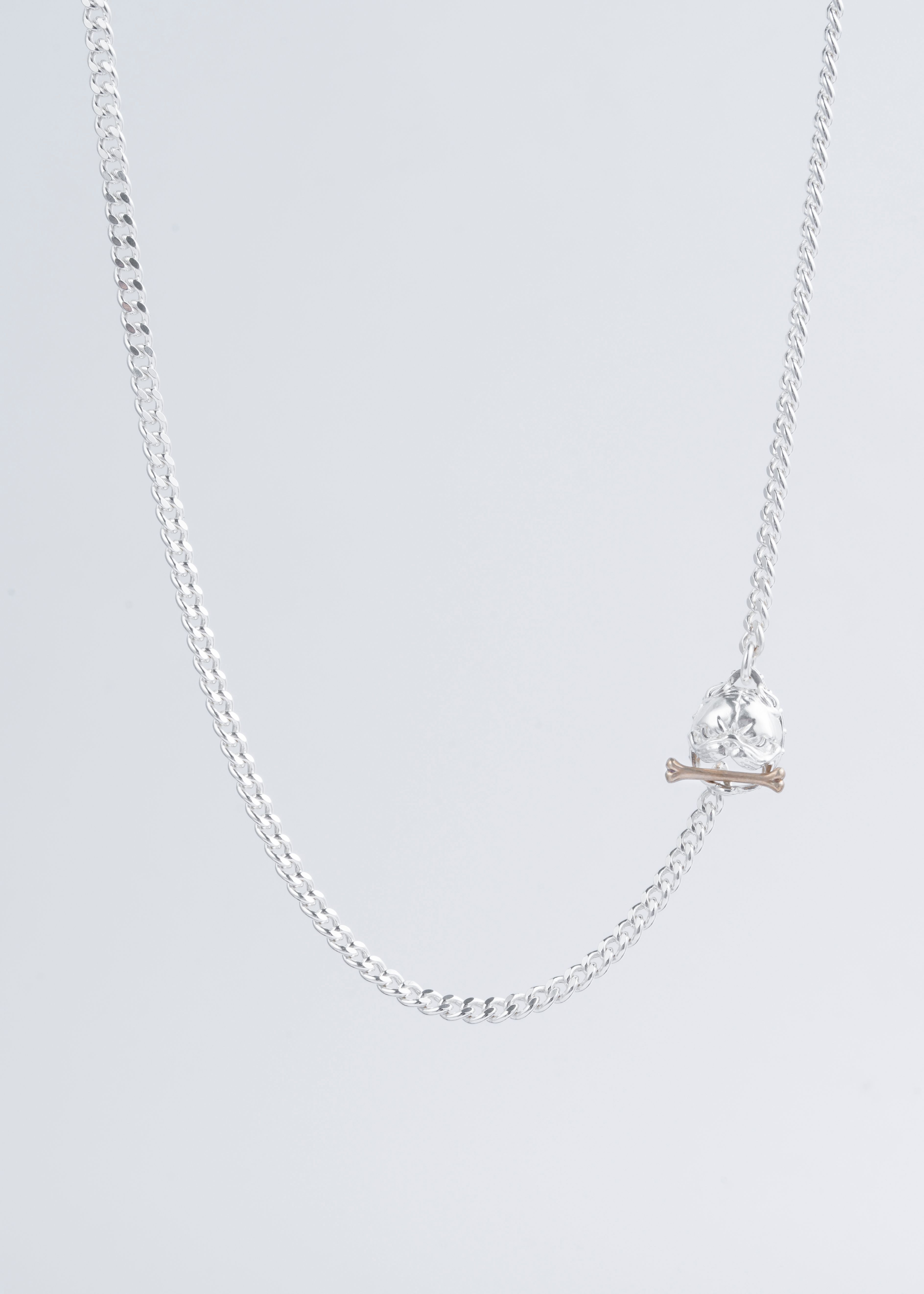 American Bully Necklace in White Background · Free Stock Photo