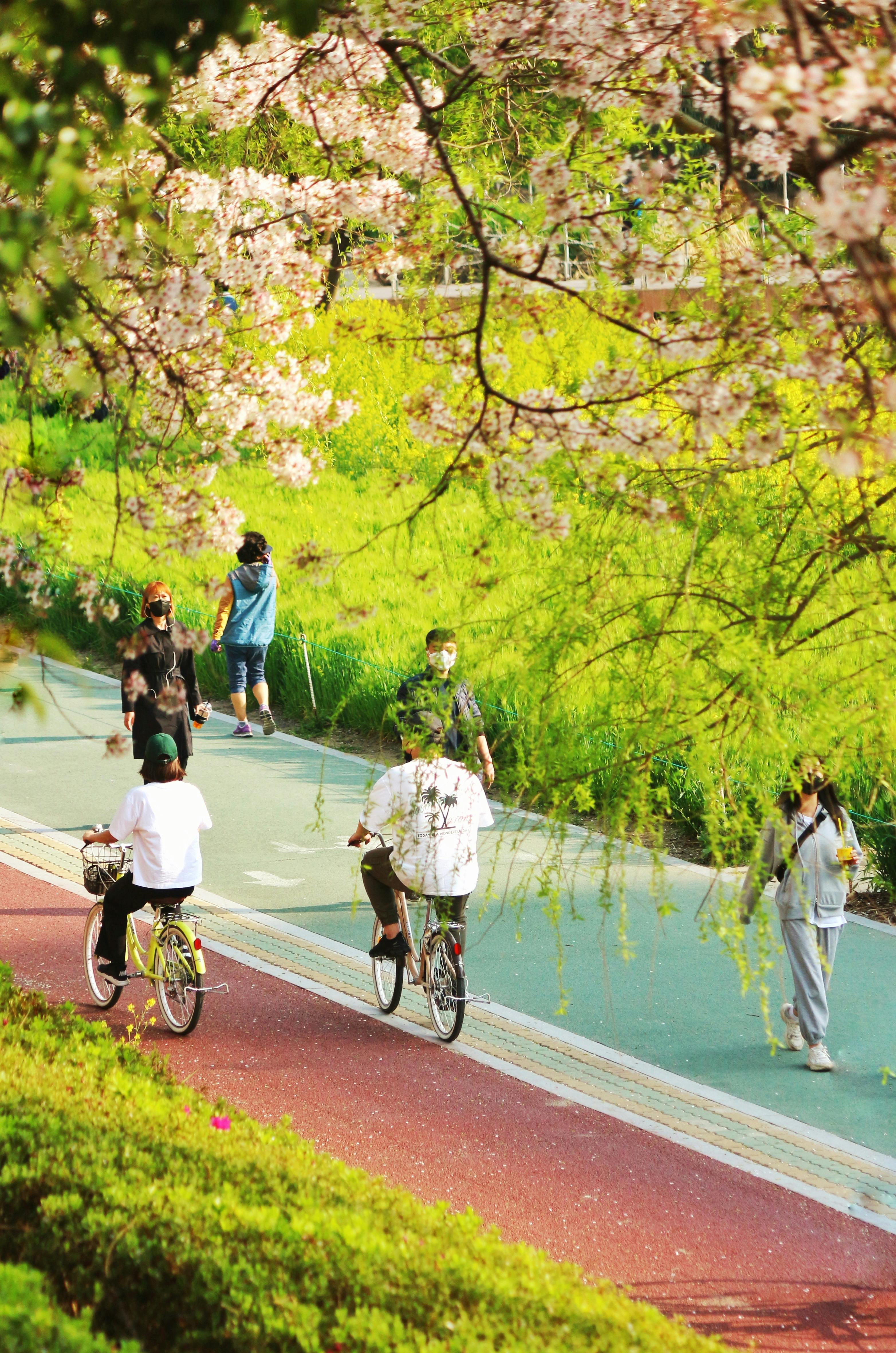 People in Park in Spring · Free Stock Photo