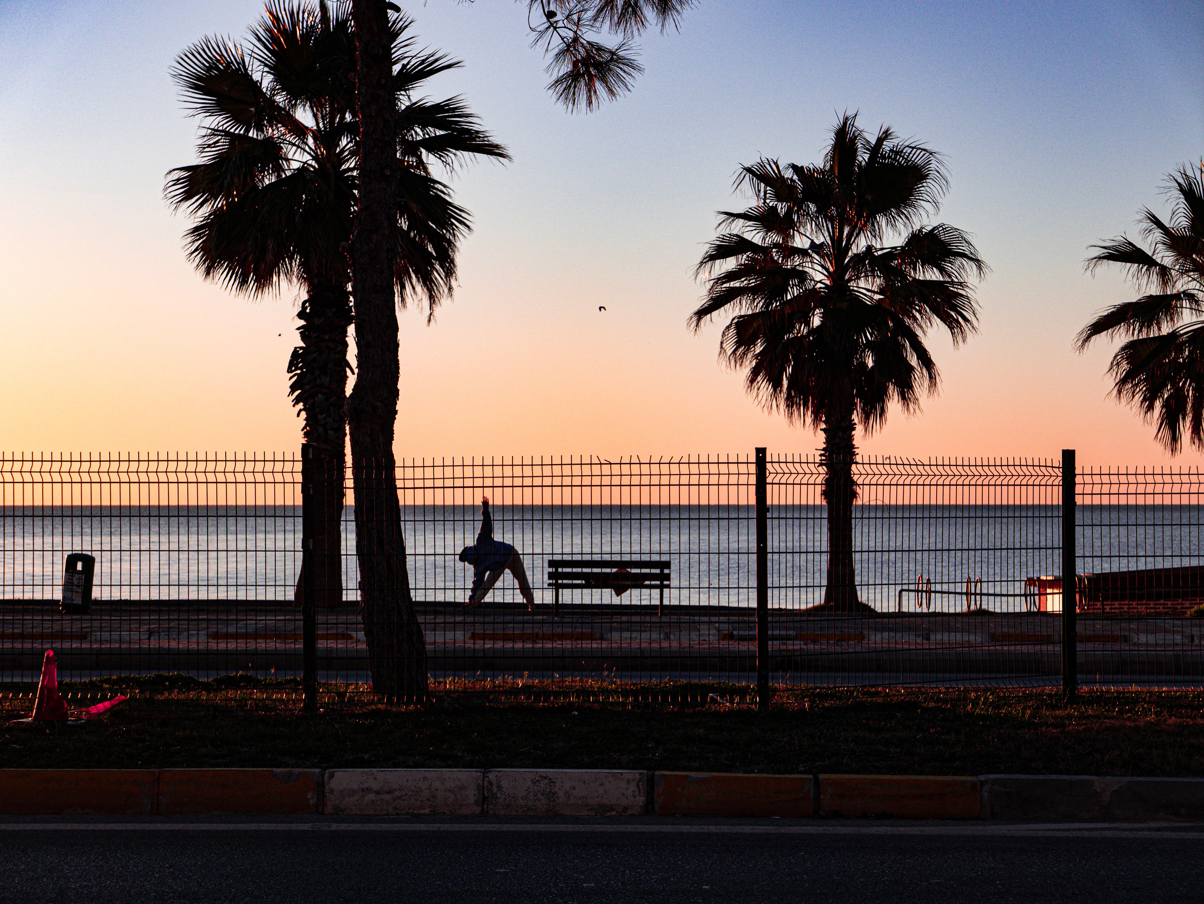 Person Stretching on the Coast at Dawn · Free Stock Photo