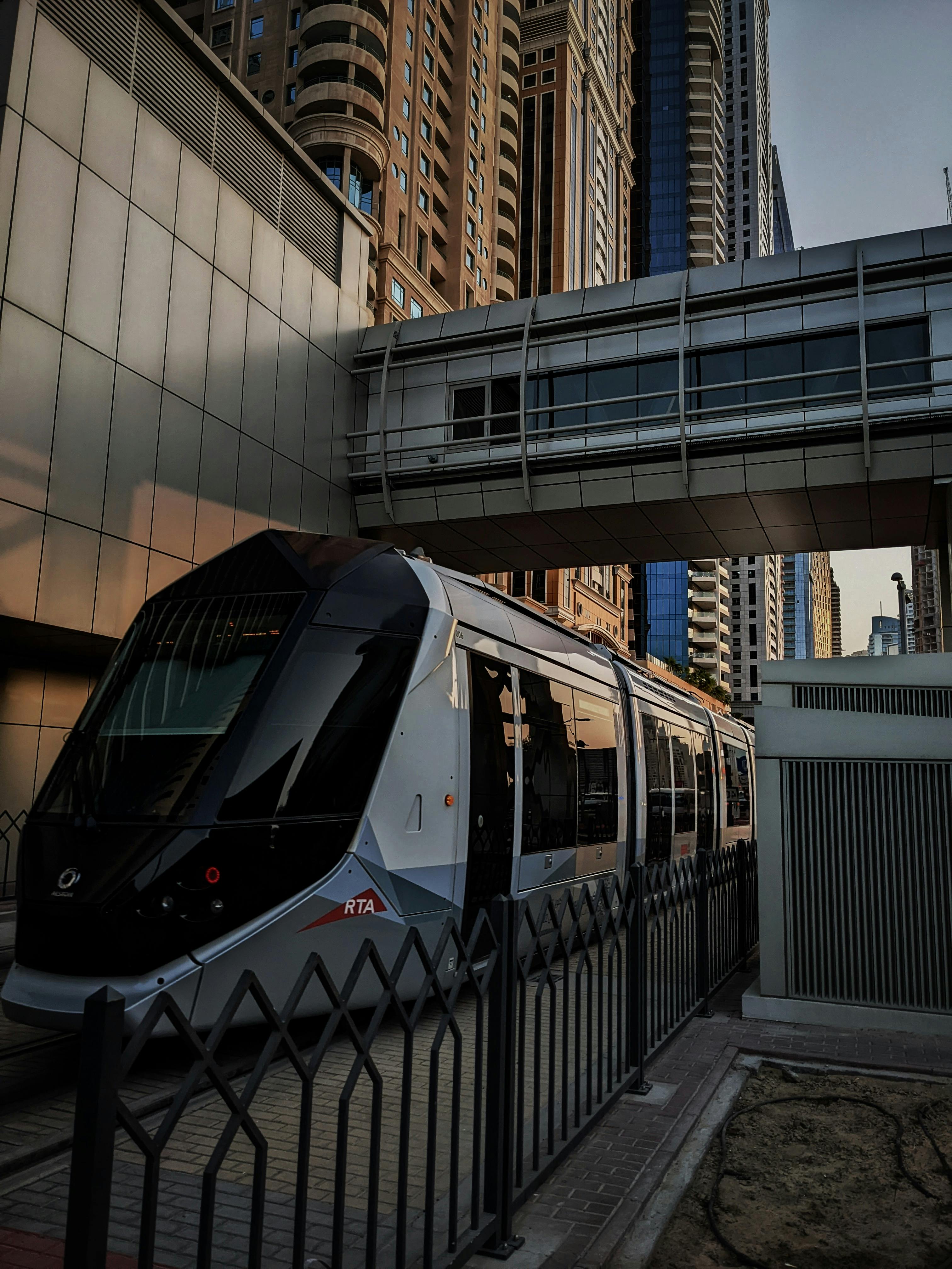 Sony Thomas - 写真