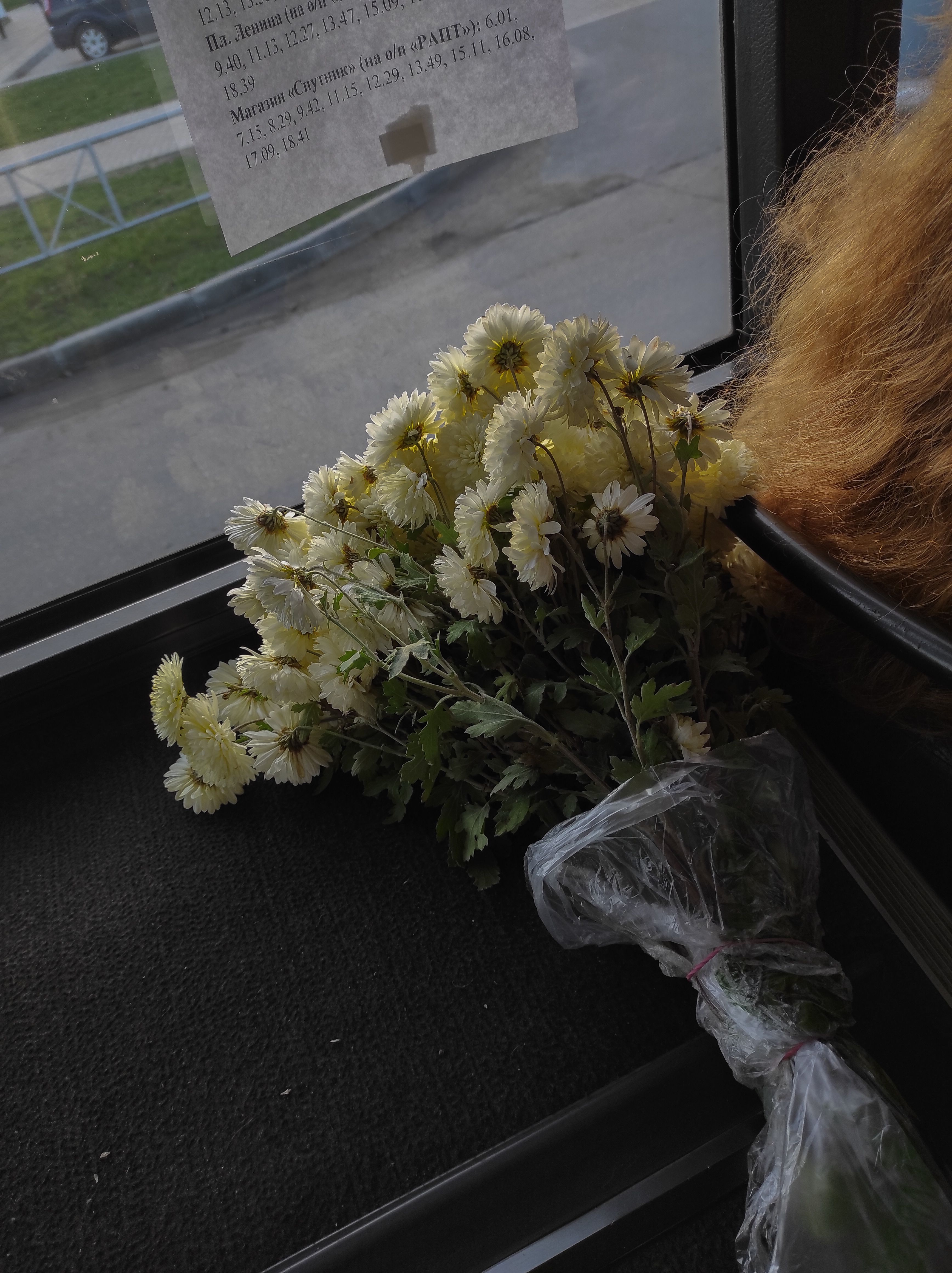 Window 10 Photos, Download The BEST Free Window 10 Stock Photos & HD Images