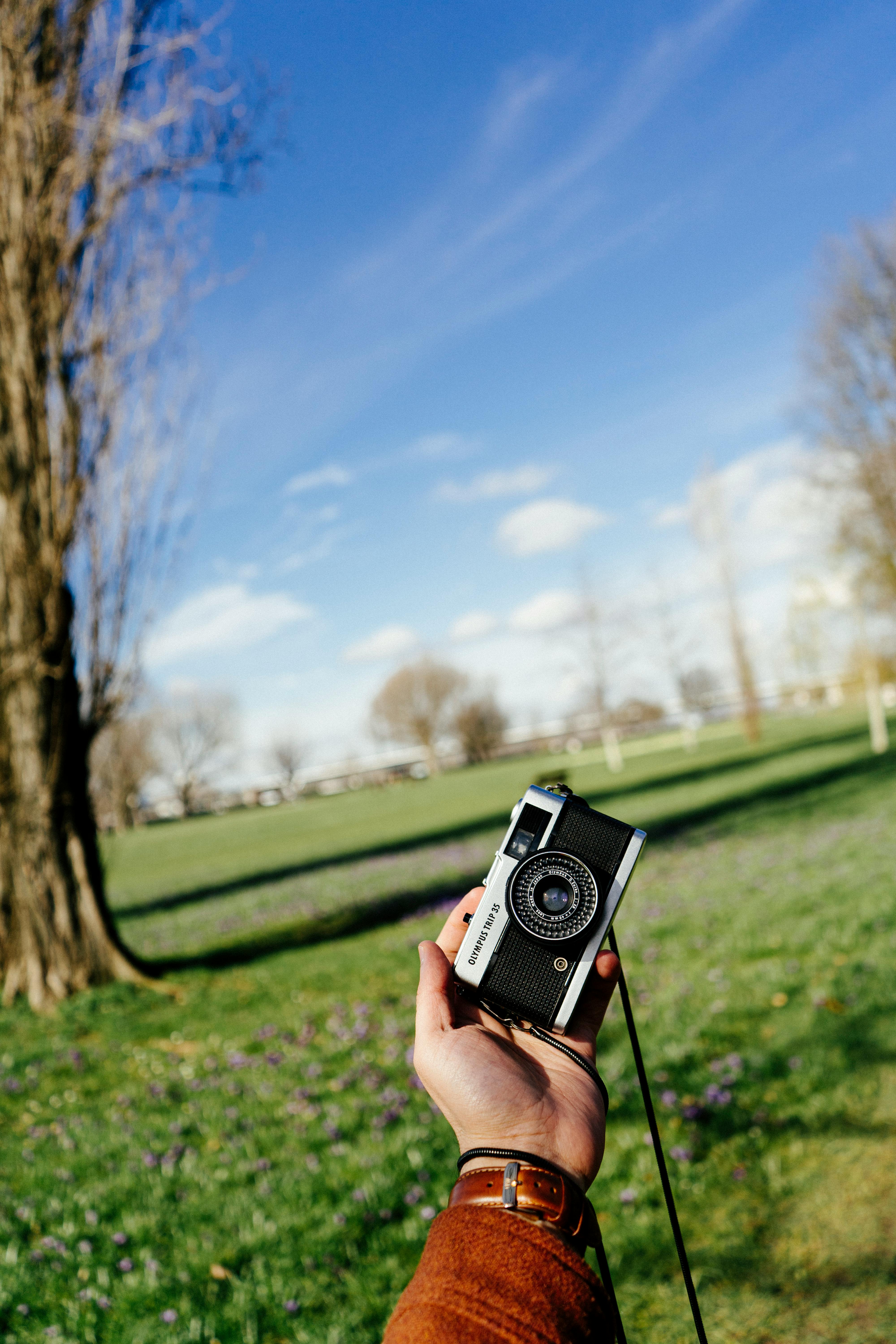 Man Holding a Film Camera on the Background of a Meadow and Blue Sky ...