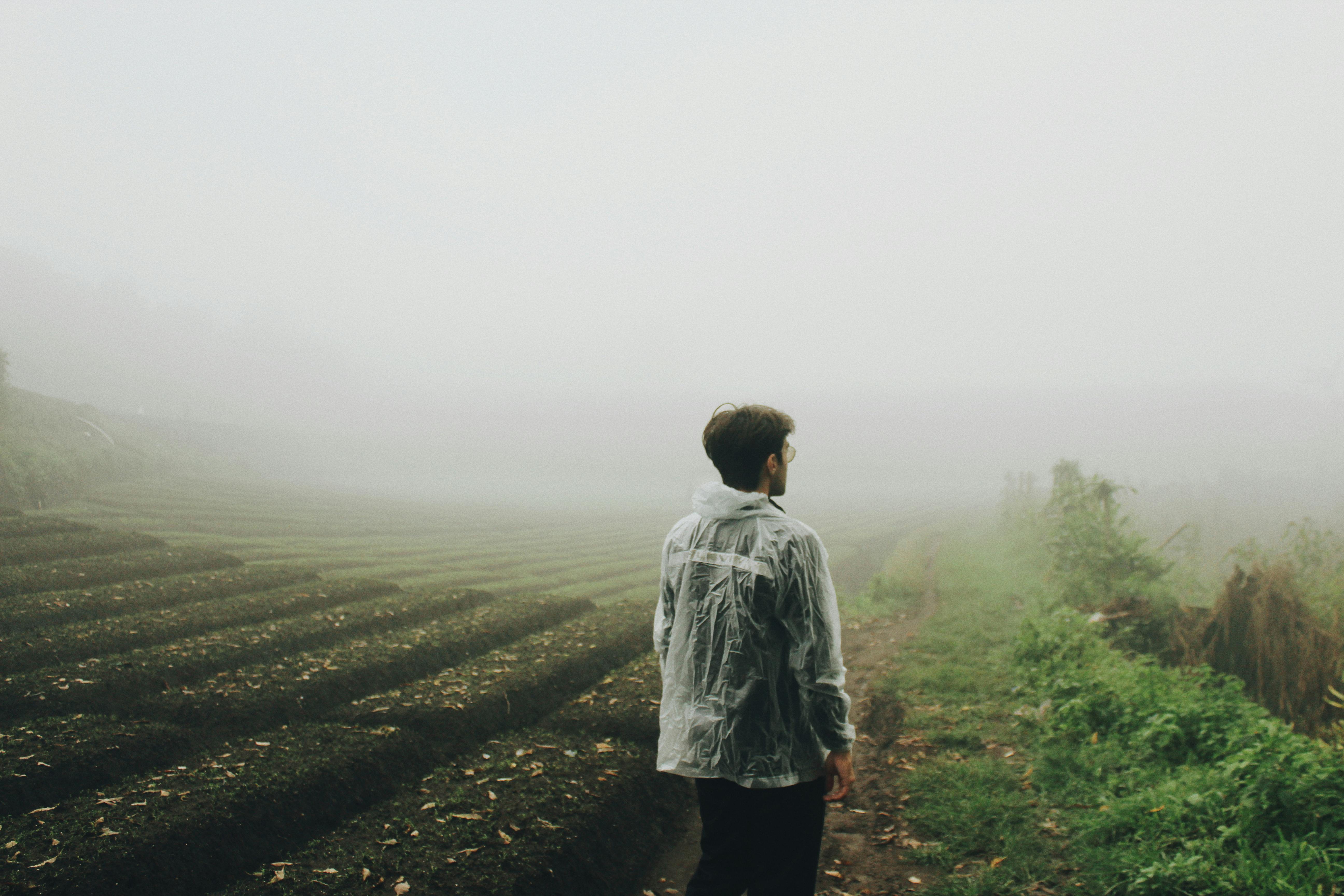 Back View of Man Standing on Field under Fog · Free Stock Photo