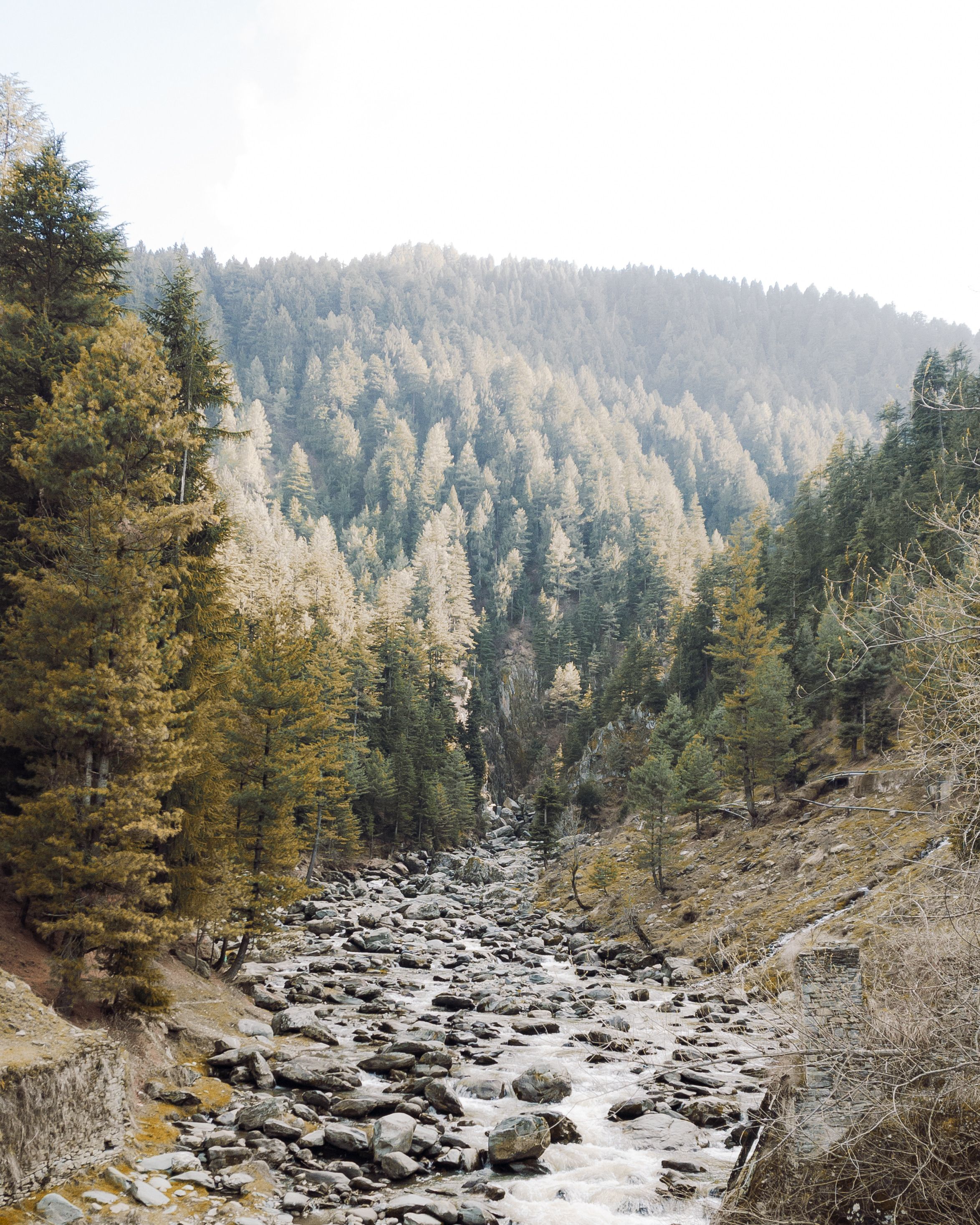 Scenic Landscape with a River · Free Stock Photo