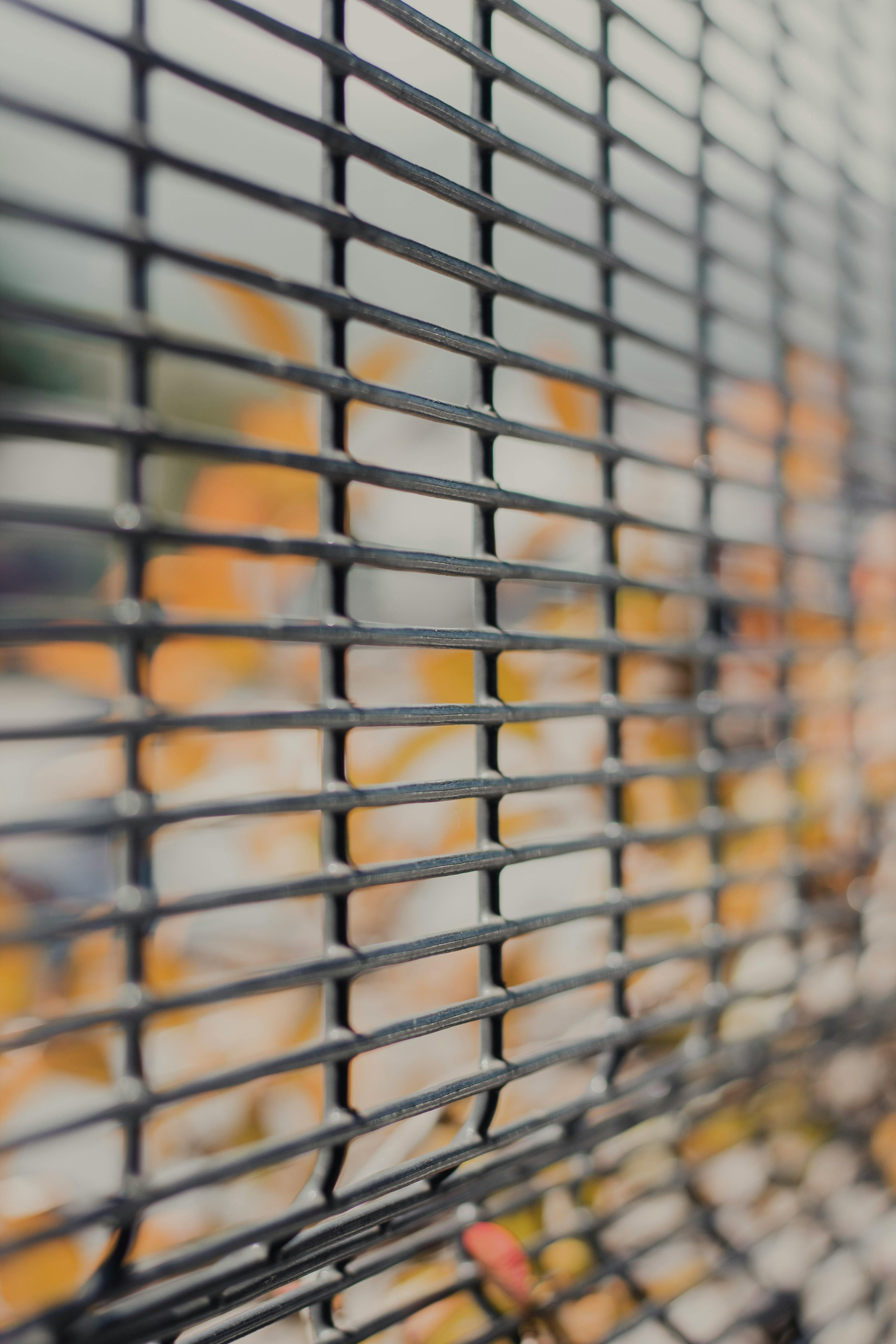 Stalker Outside Boundary Photos, Download The BEST Free Stalker Outside ...