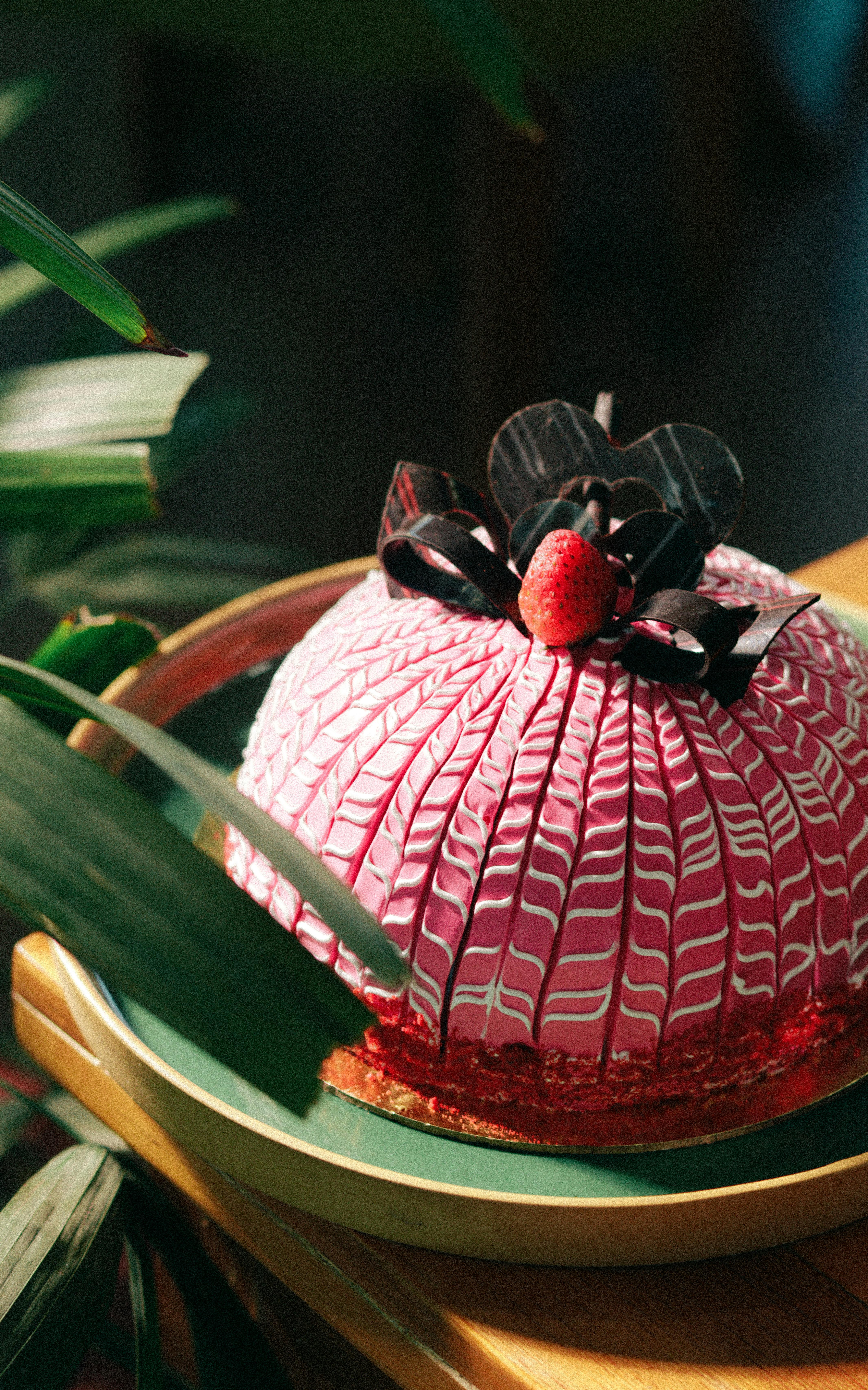 Visual Appealing Photos, Download The BEST Free Visual Appealing Stock ...