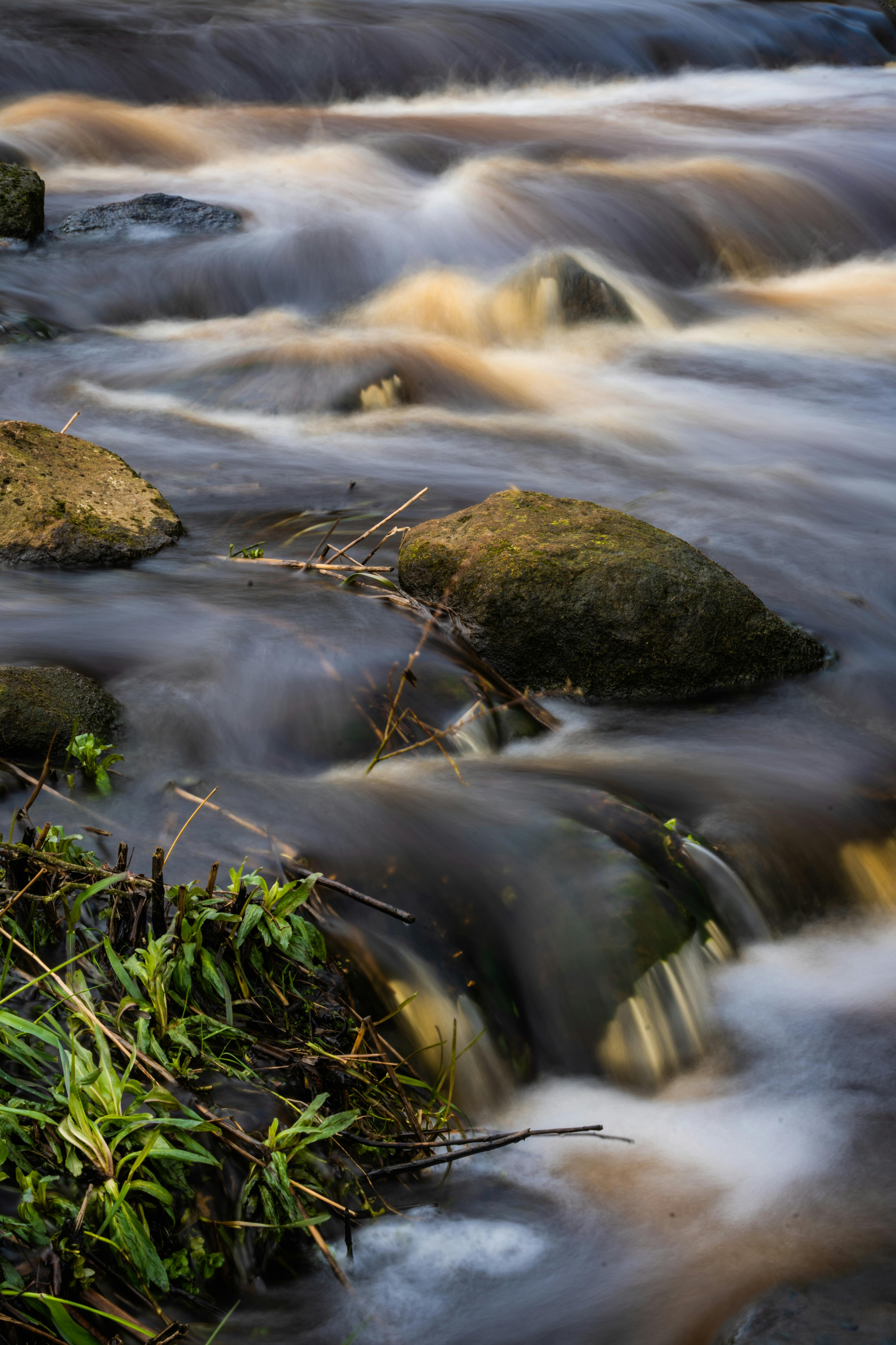 Long Exposure of Mountain Water Stream · Free Stock Photo