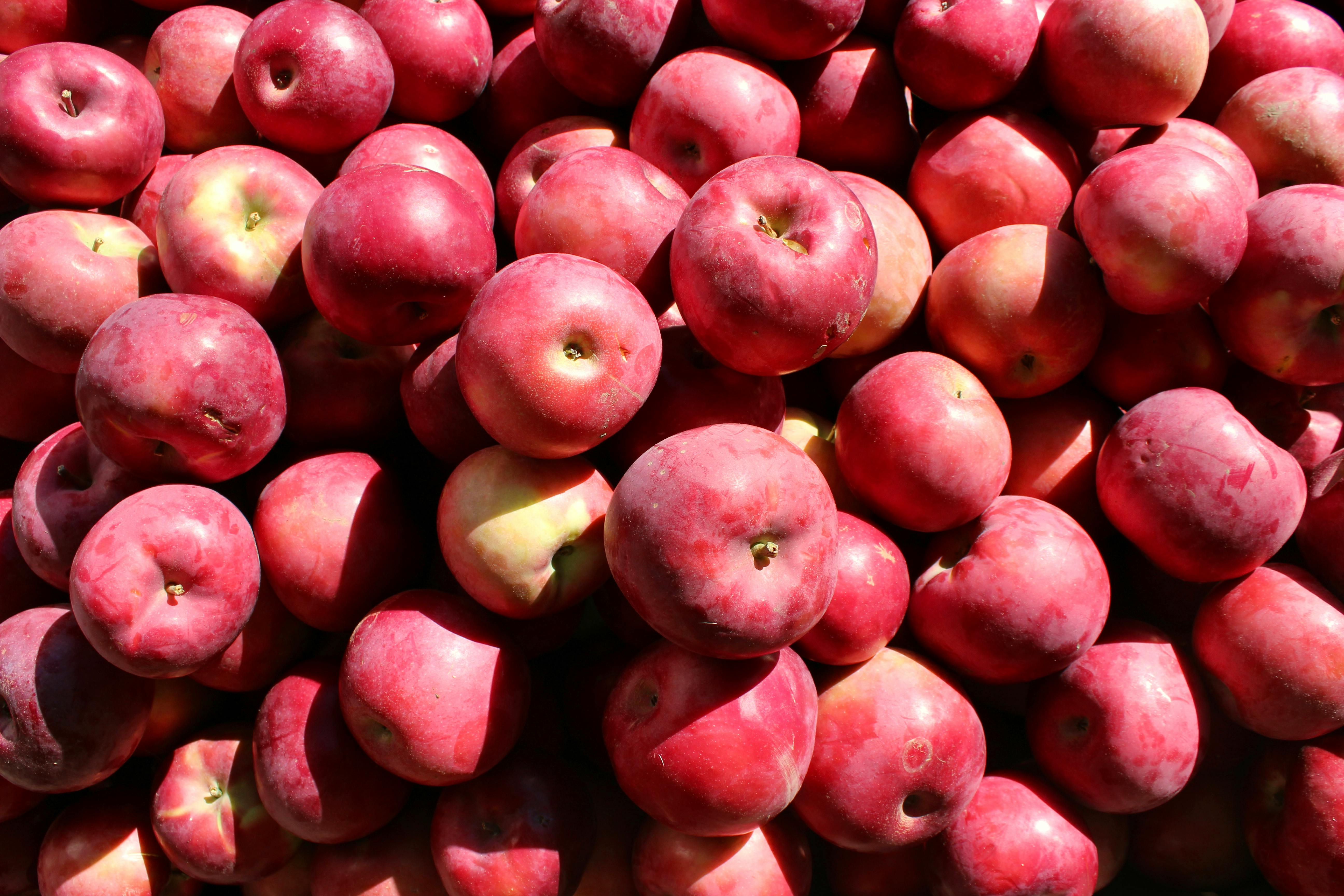 Red 4k Wallpaper Photos, Download The BEST Free Red 4k Wallpaper Stock ...