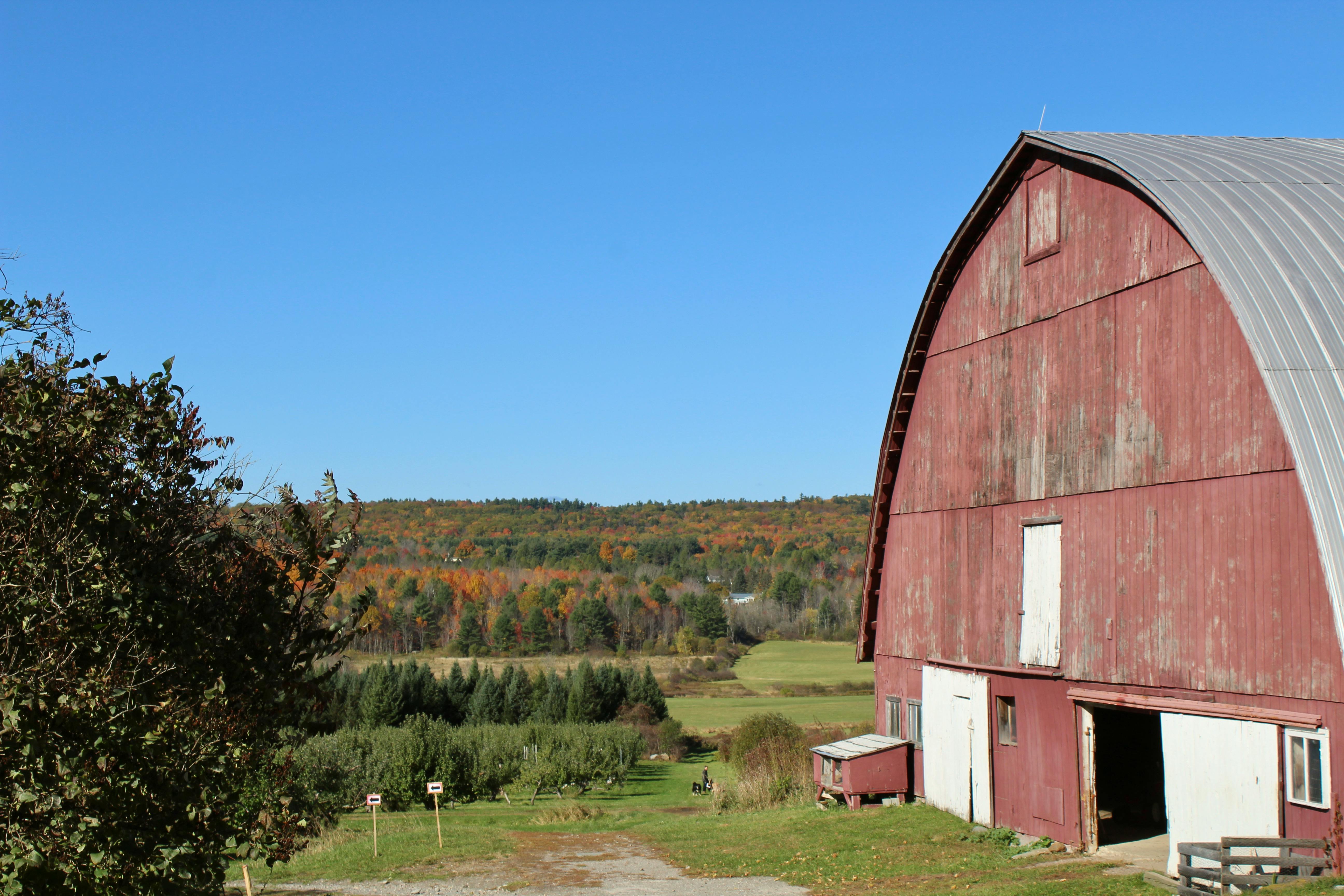 Apple Picking 8 Photos & Videos Collected by Kalei Winfield