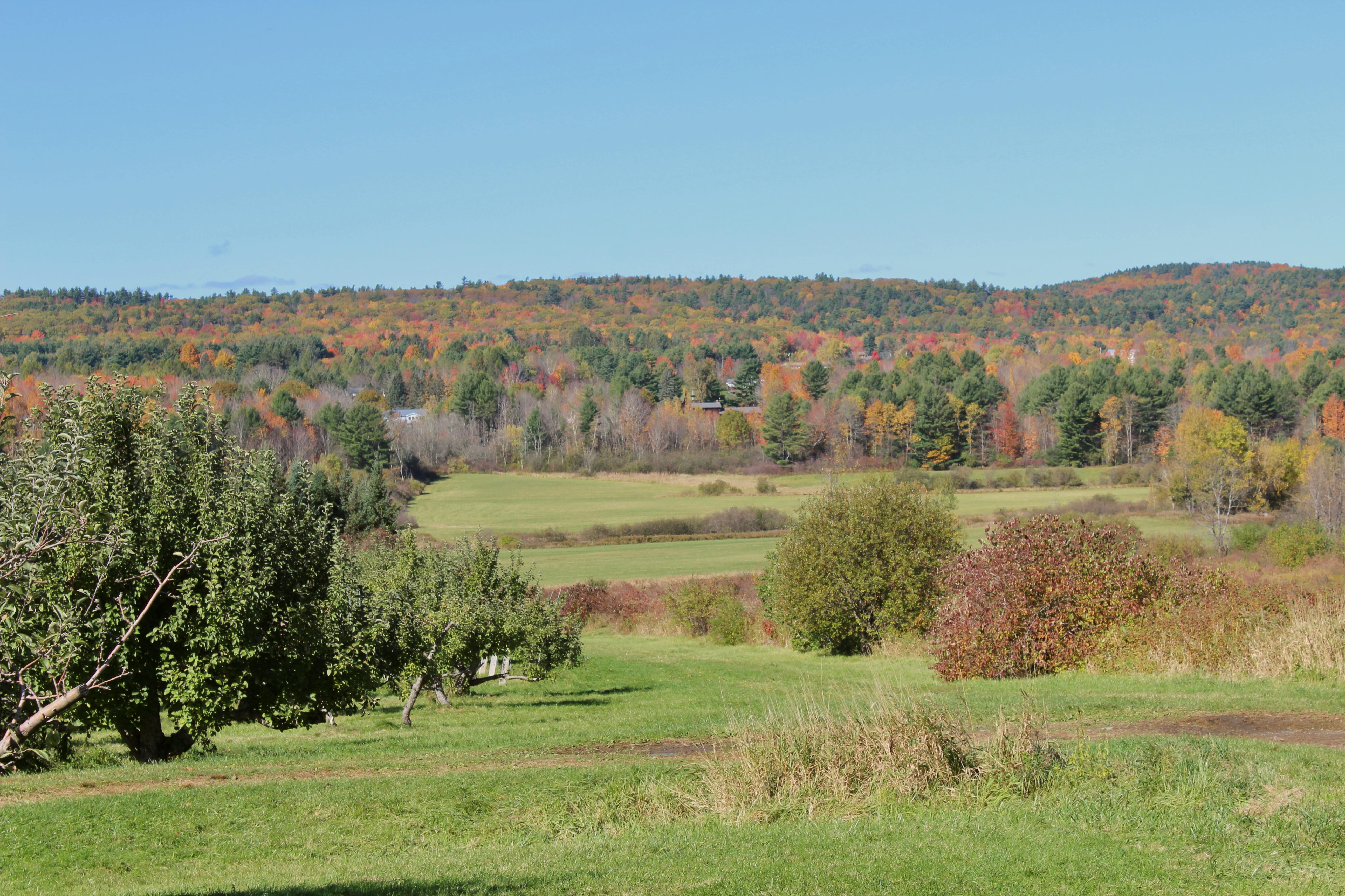 Apple Picking 8 Photos & Videos Collected by Kalei Winfield