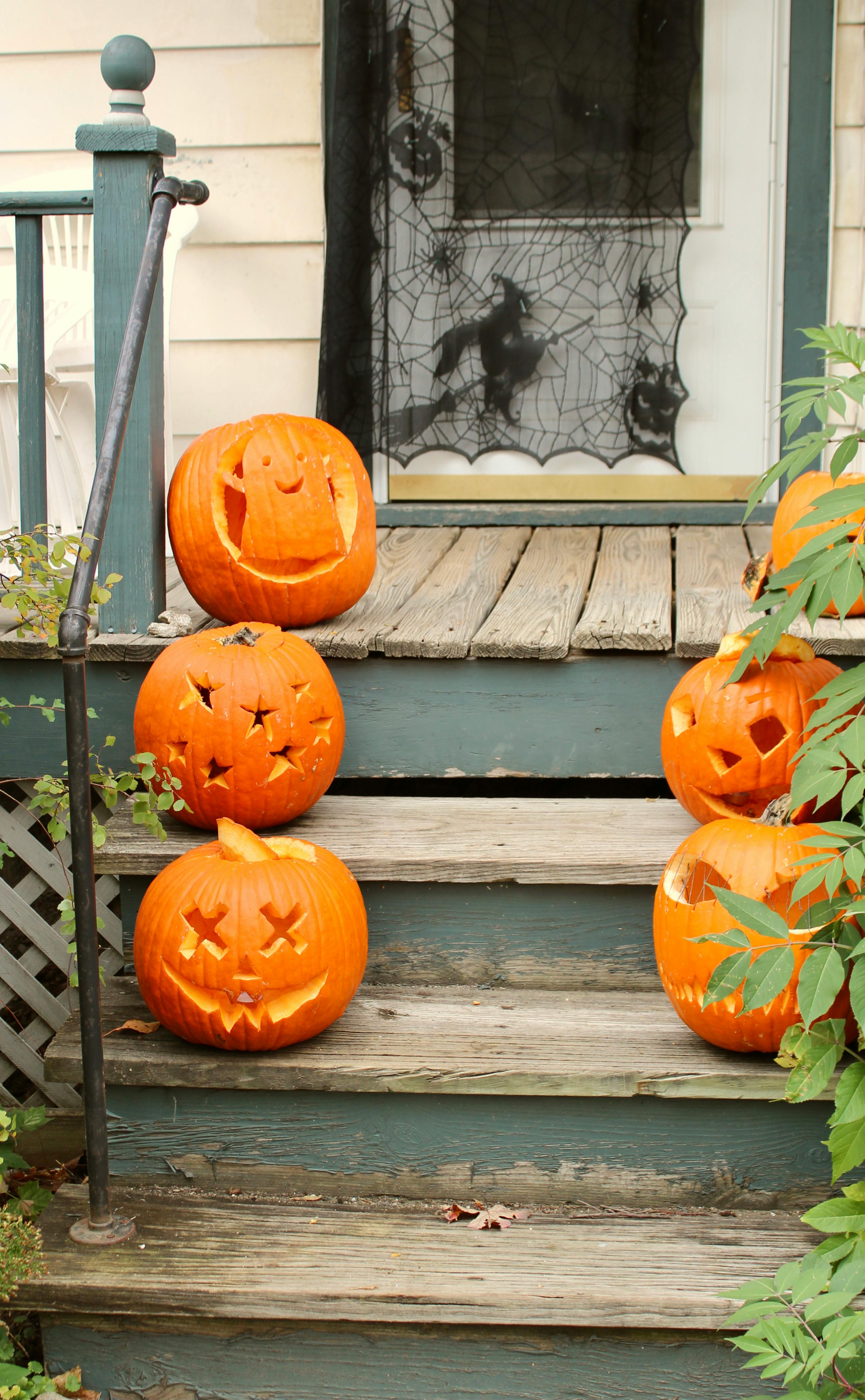 Fall Decorations Photos, Download The BEST Free Fall Decorations Stock ...