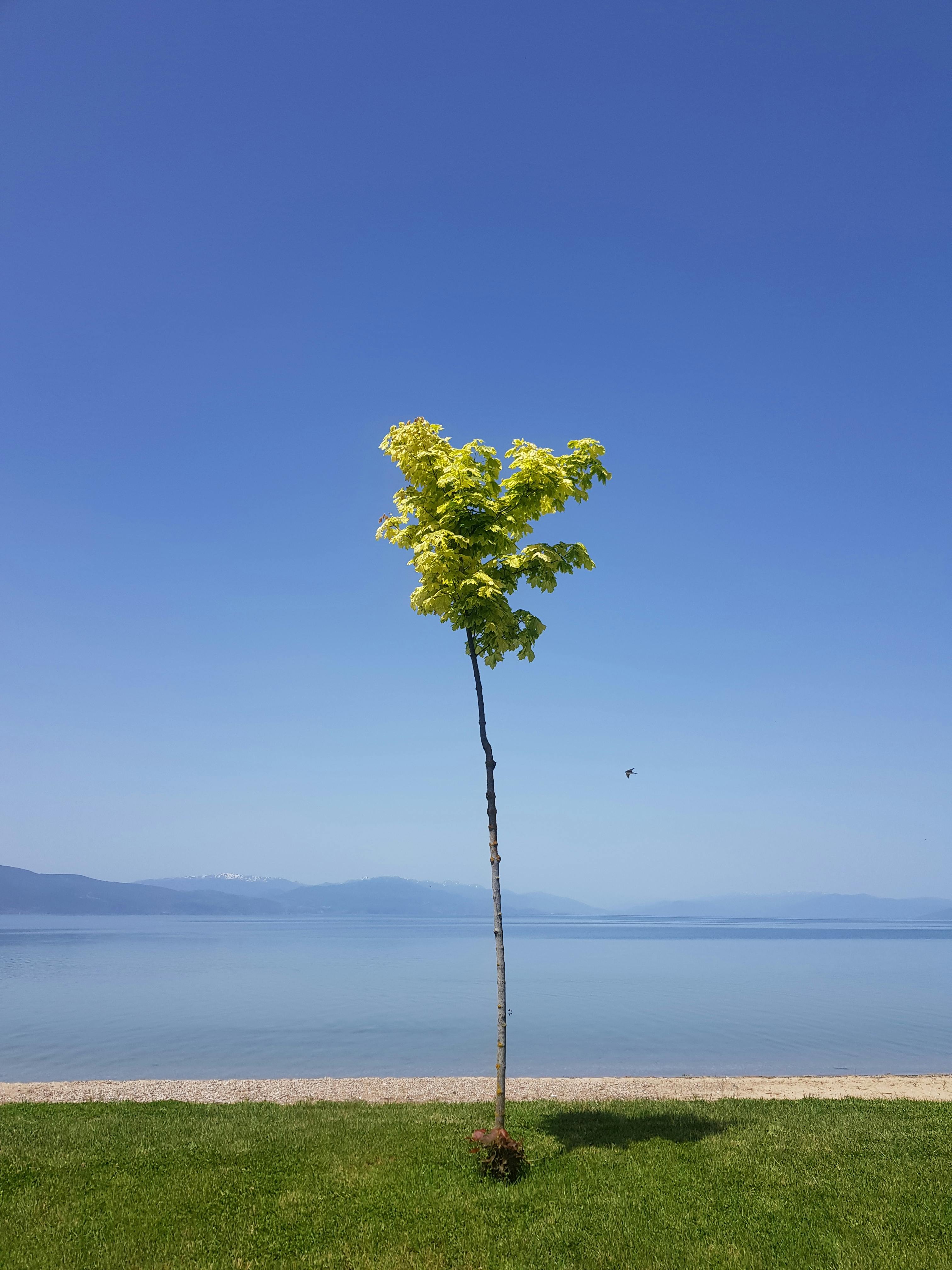 Nature of Heaven - Photography