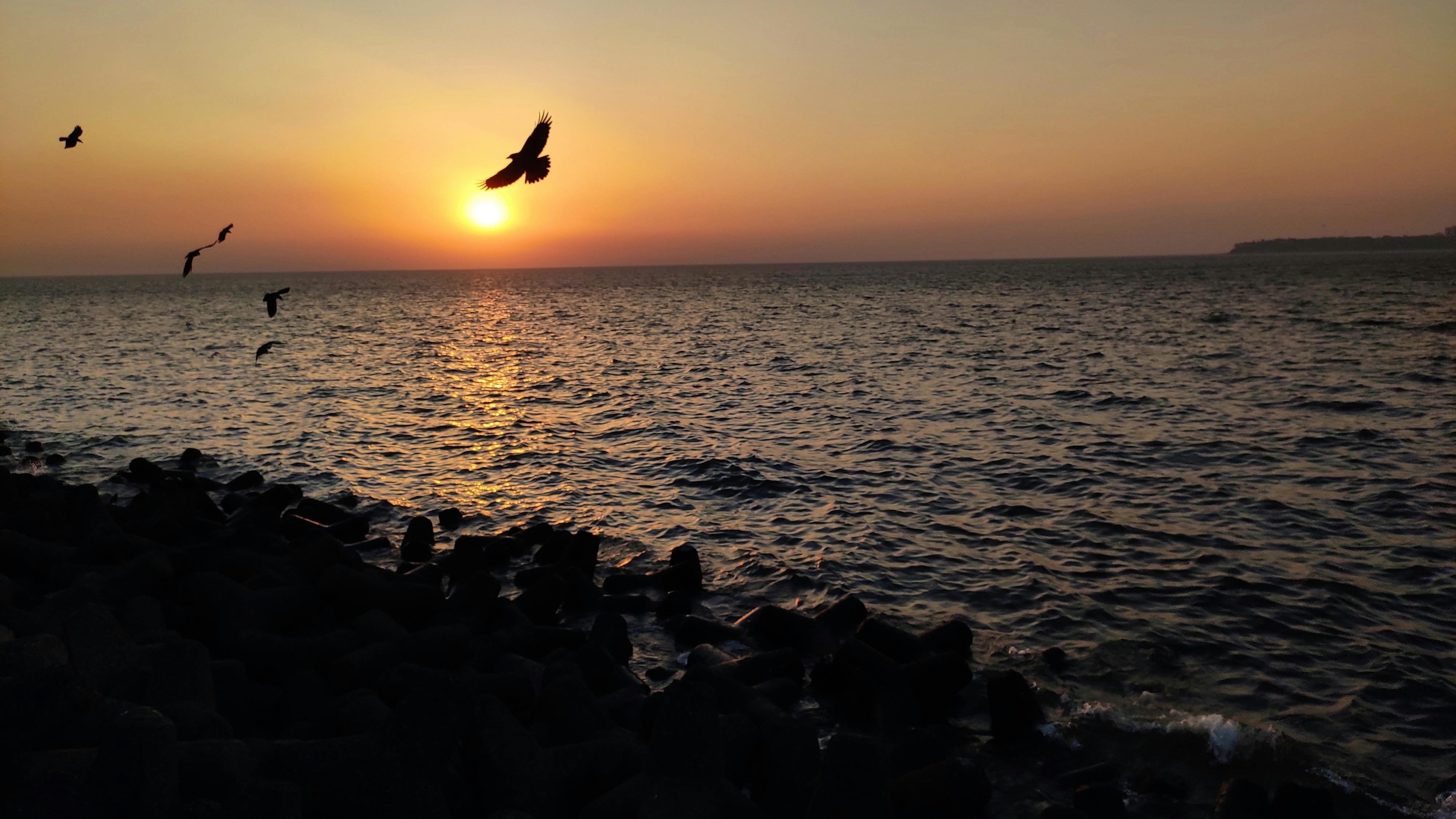 Aditya Rai - Photographie