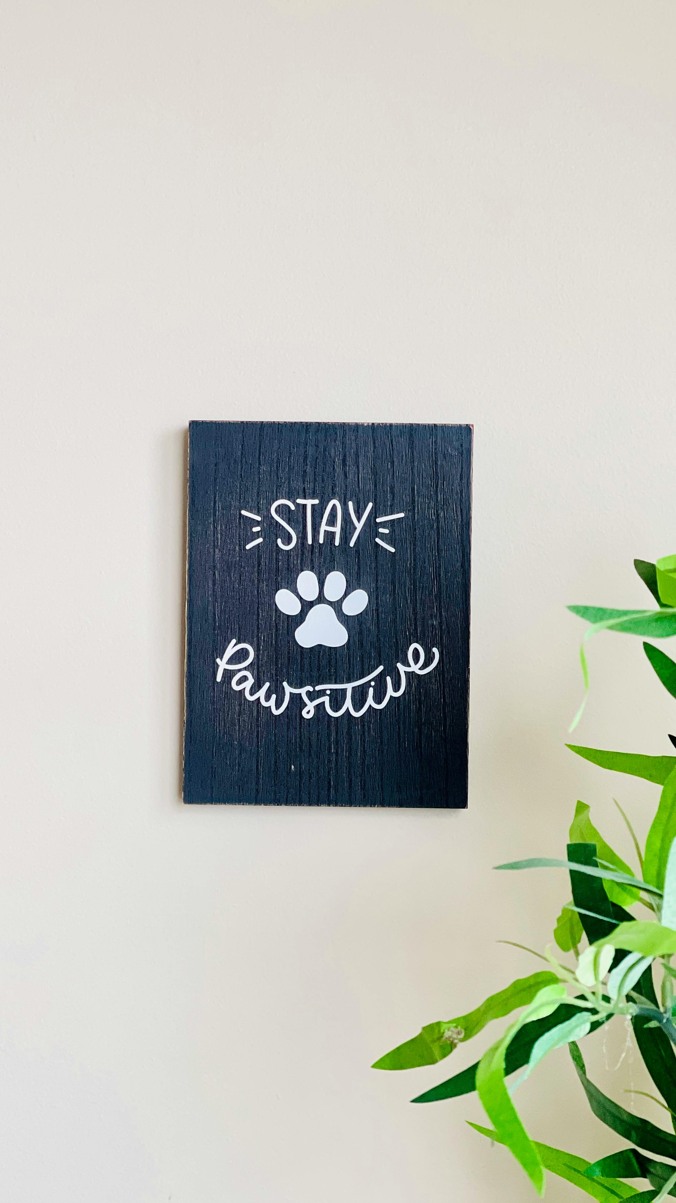 Boad Photos, Download The BEST Free Boad Stock Photos & HD Images