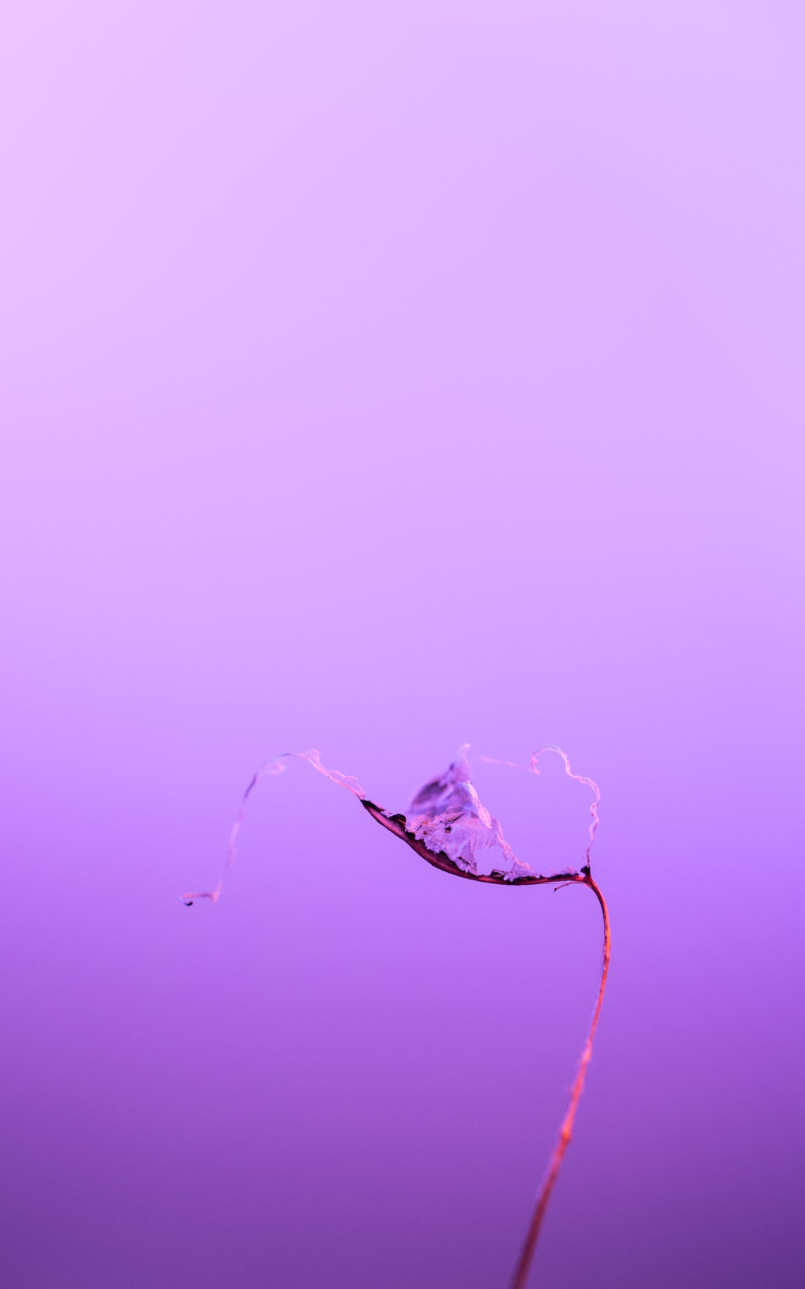 Edit