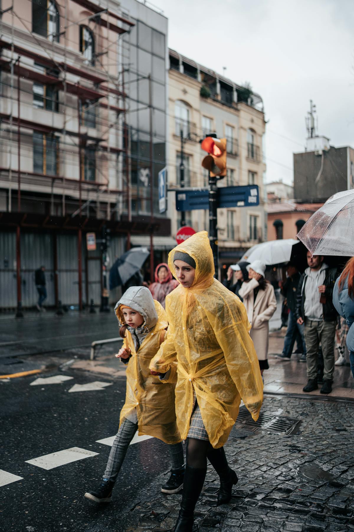 People Watching Photos, Download The BEST Free People Watching Stock ...