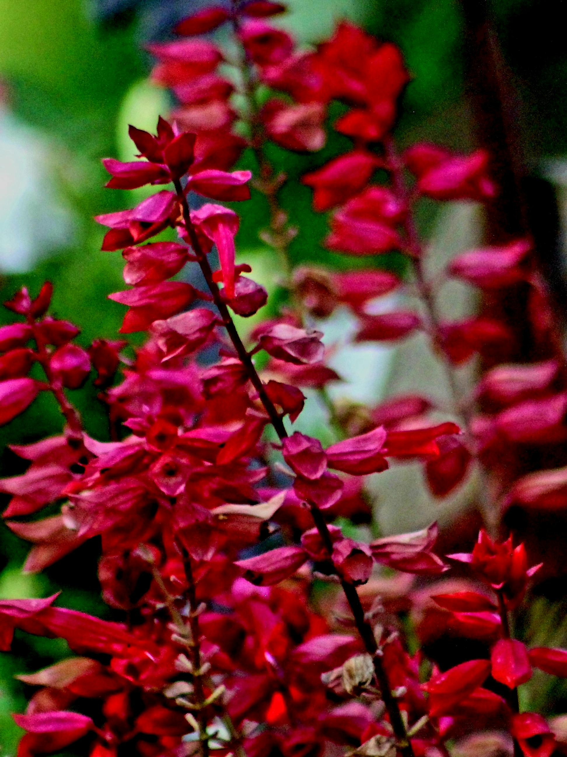 Bud Jenkins - Fotografía
