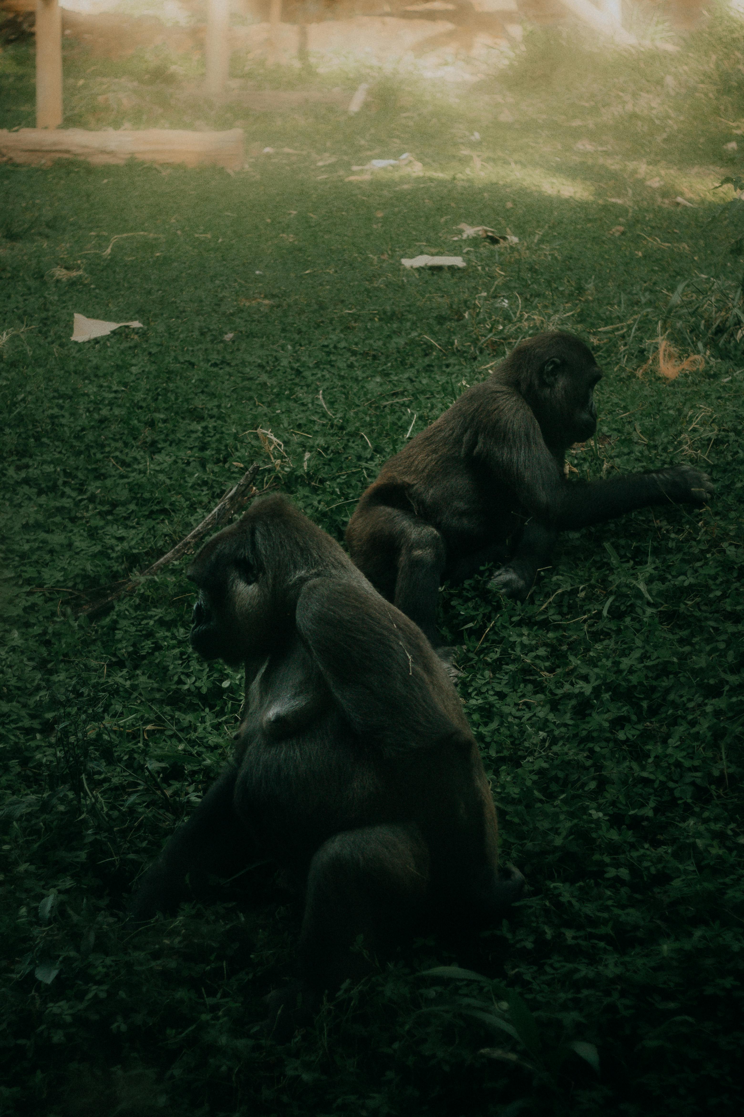 60,000+张最精彩的“Object Wallpaper”图片 · 100%免费下载 · Pexels素材图片