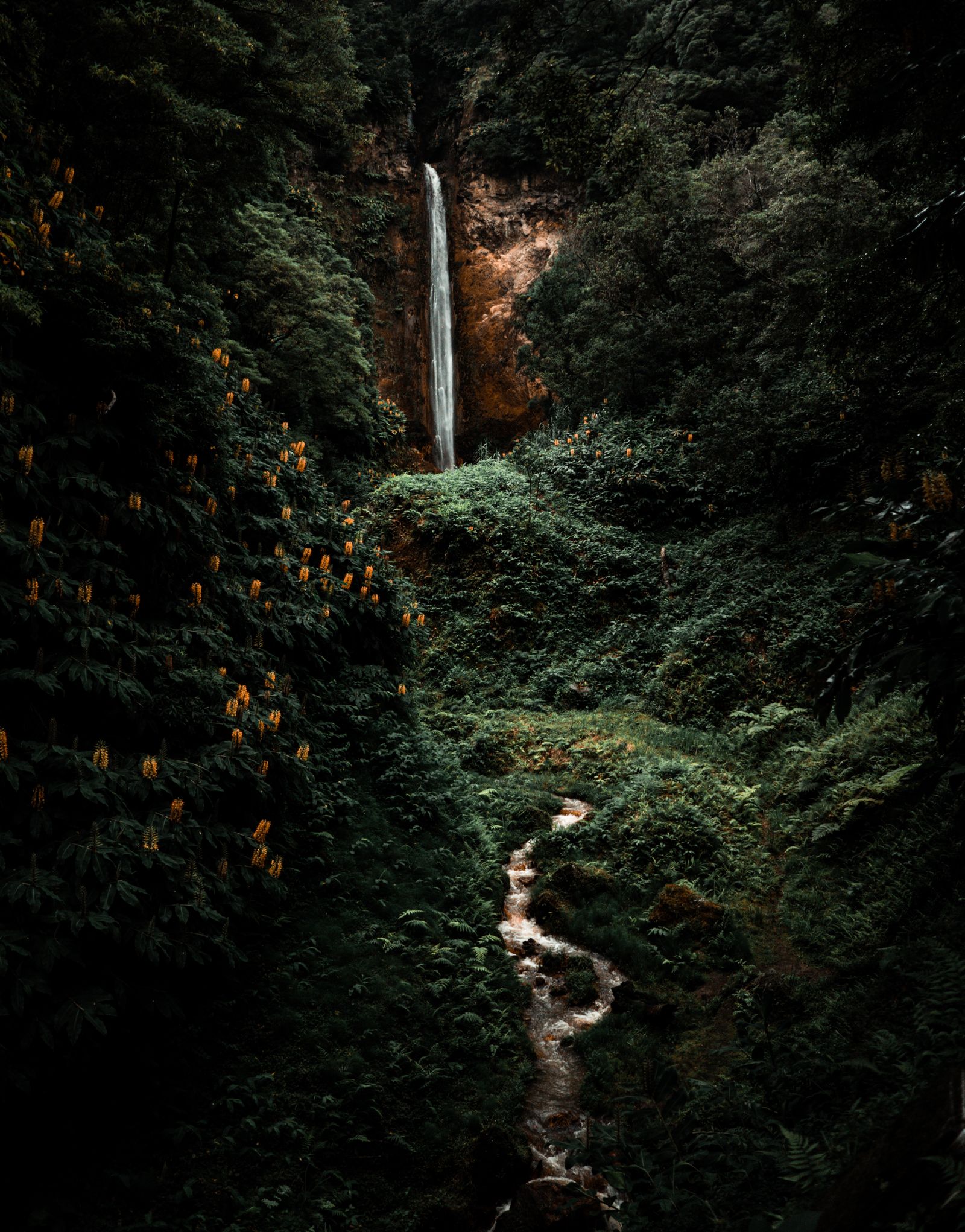 Waterfall Landscape Photos, Download The BEST Free Waterfall Landscape ...