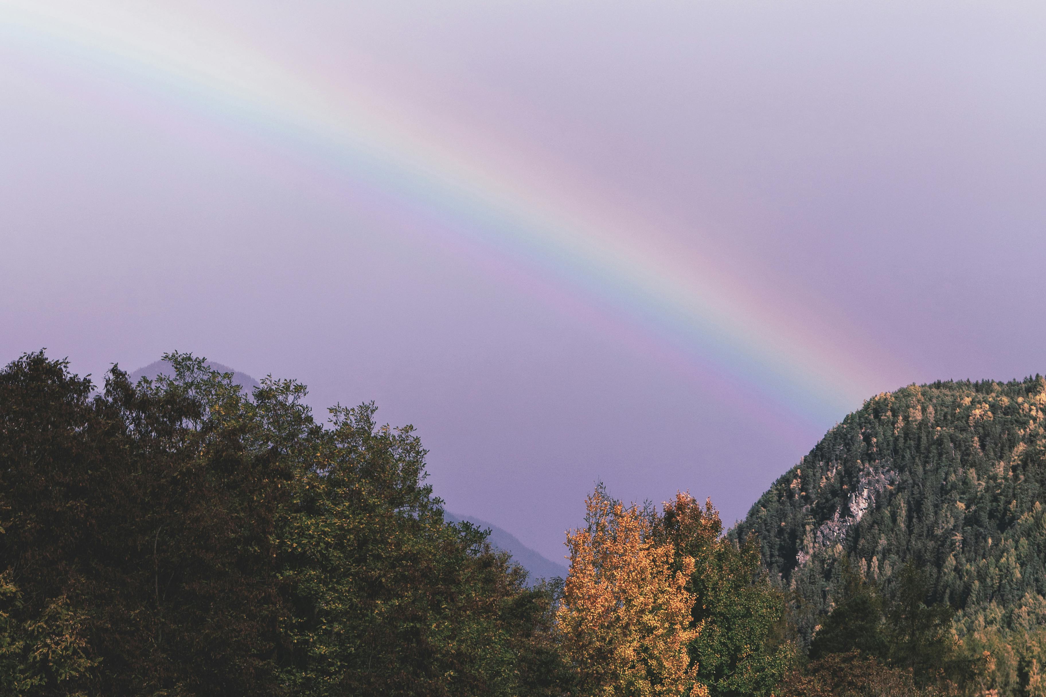 Rainbow Photos, Download The BEST Free Rainbow Stock Photos & HD Images
