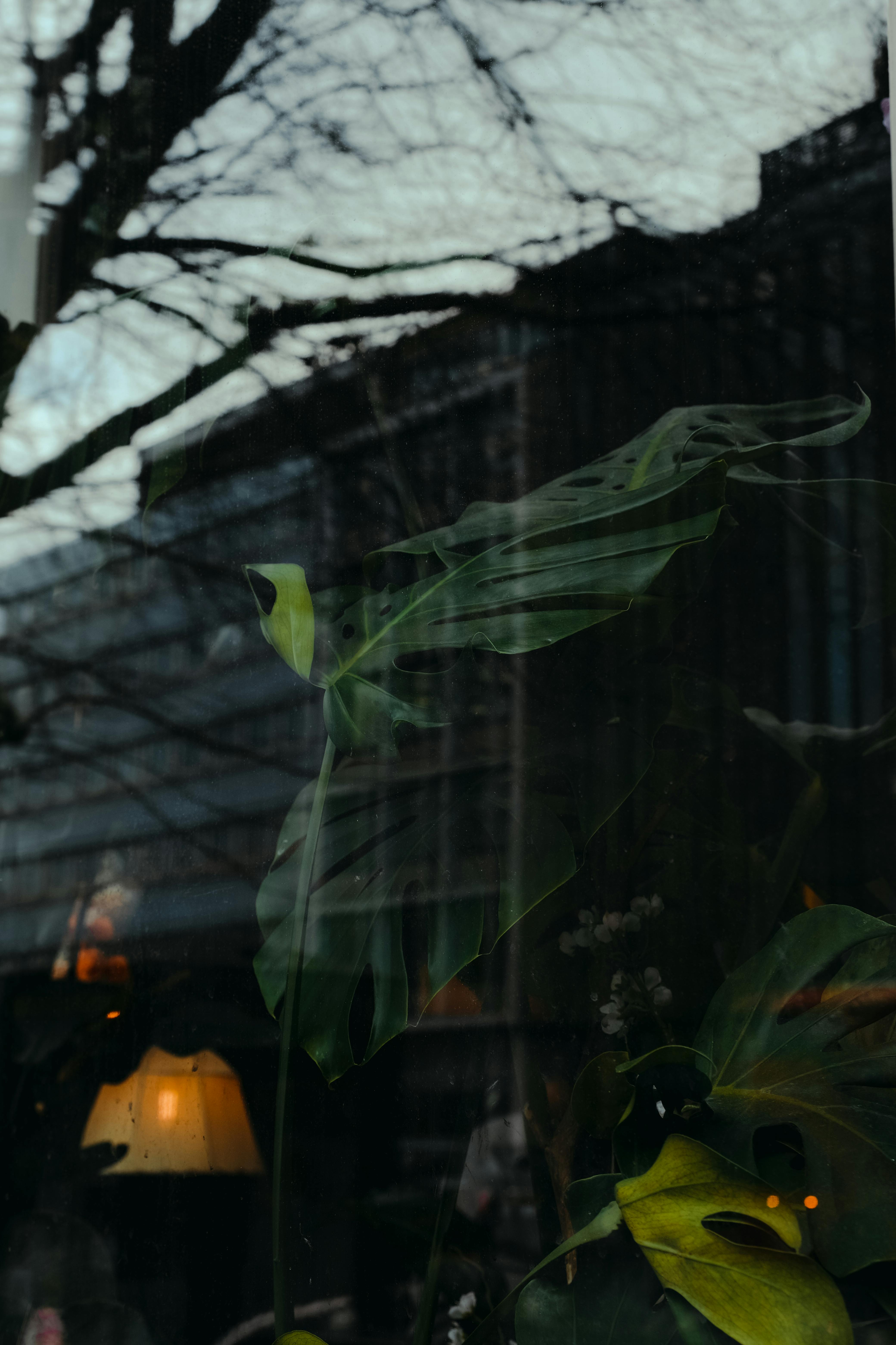 A Black Framed Glass Window · Free Stock Photo