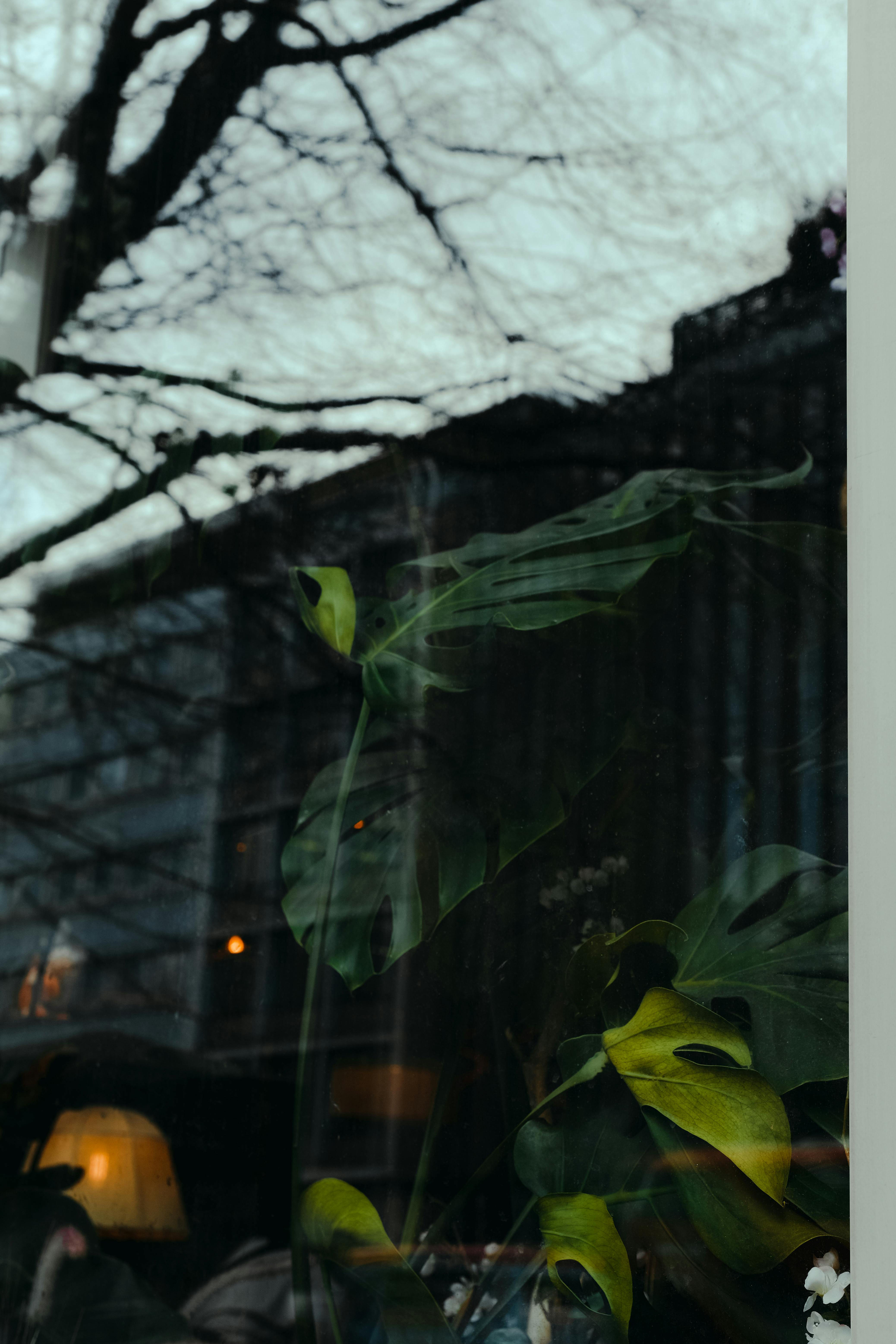 Libya City Photos, Download The BEST Free Libya City Stock Photos & HD ...