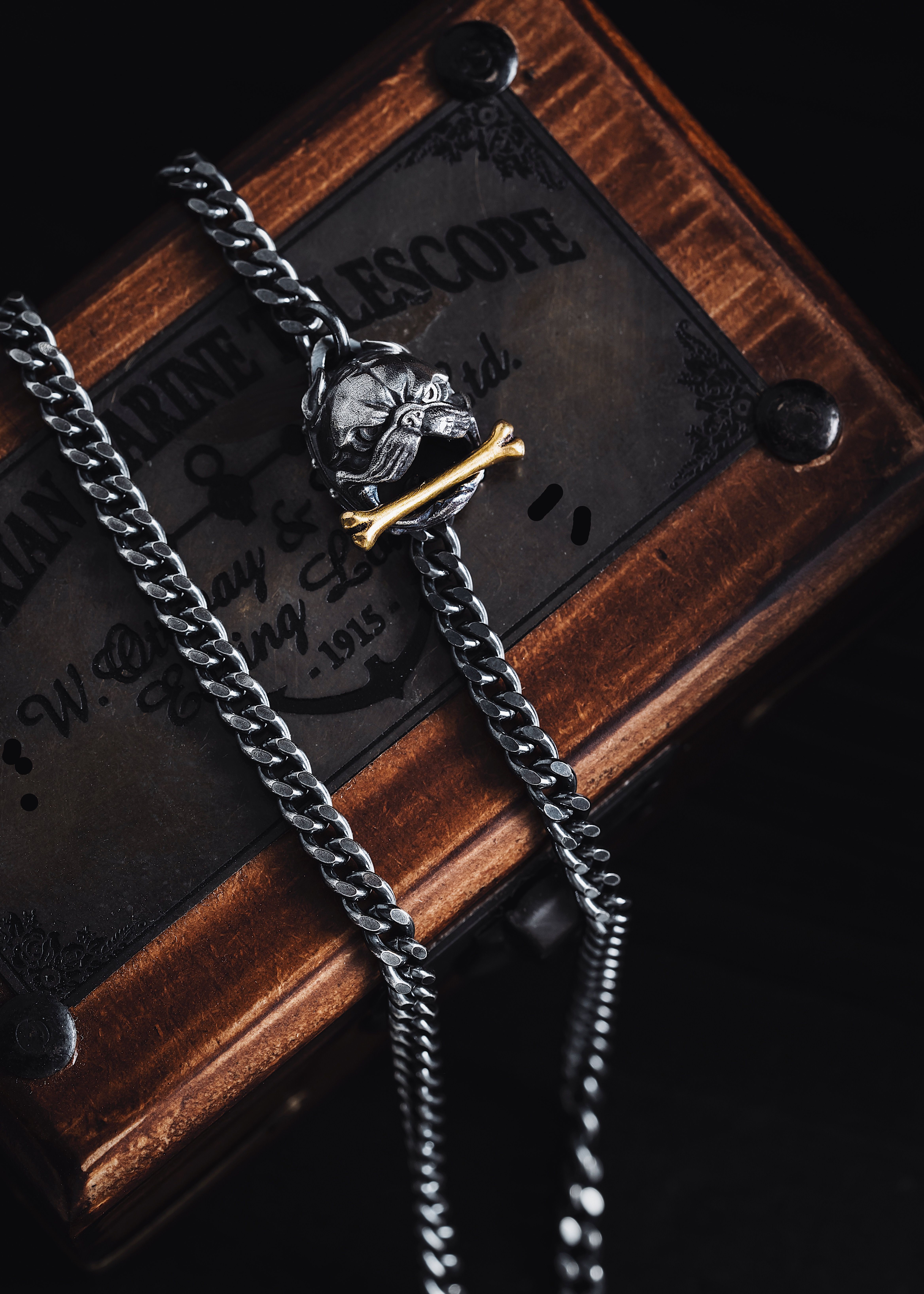 Close-up of a Cuban Link Chain with American Bully Dog Clasp · Free ...