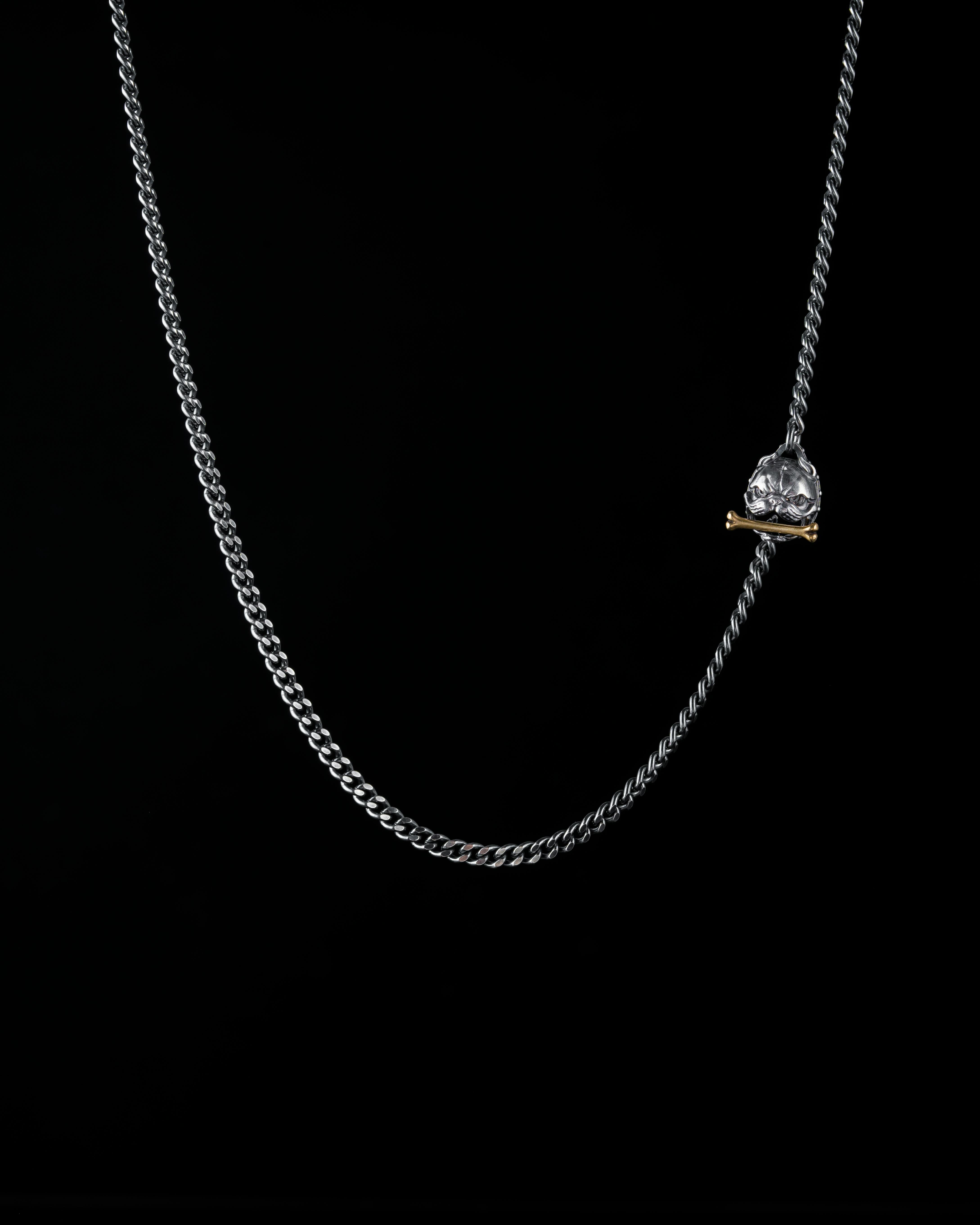 Close-up of a Cuban Link Chain with American Bully Dog Clasp · Free ...