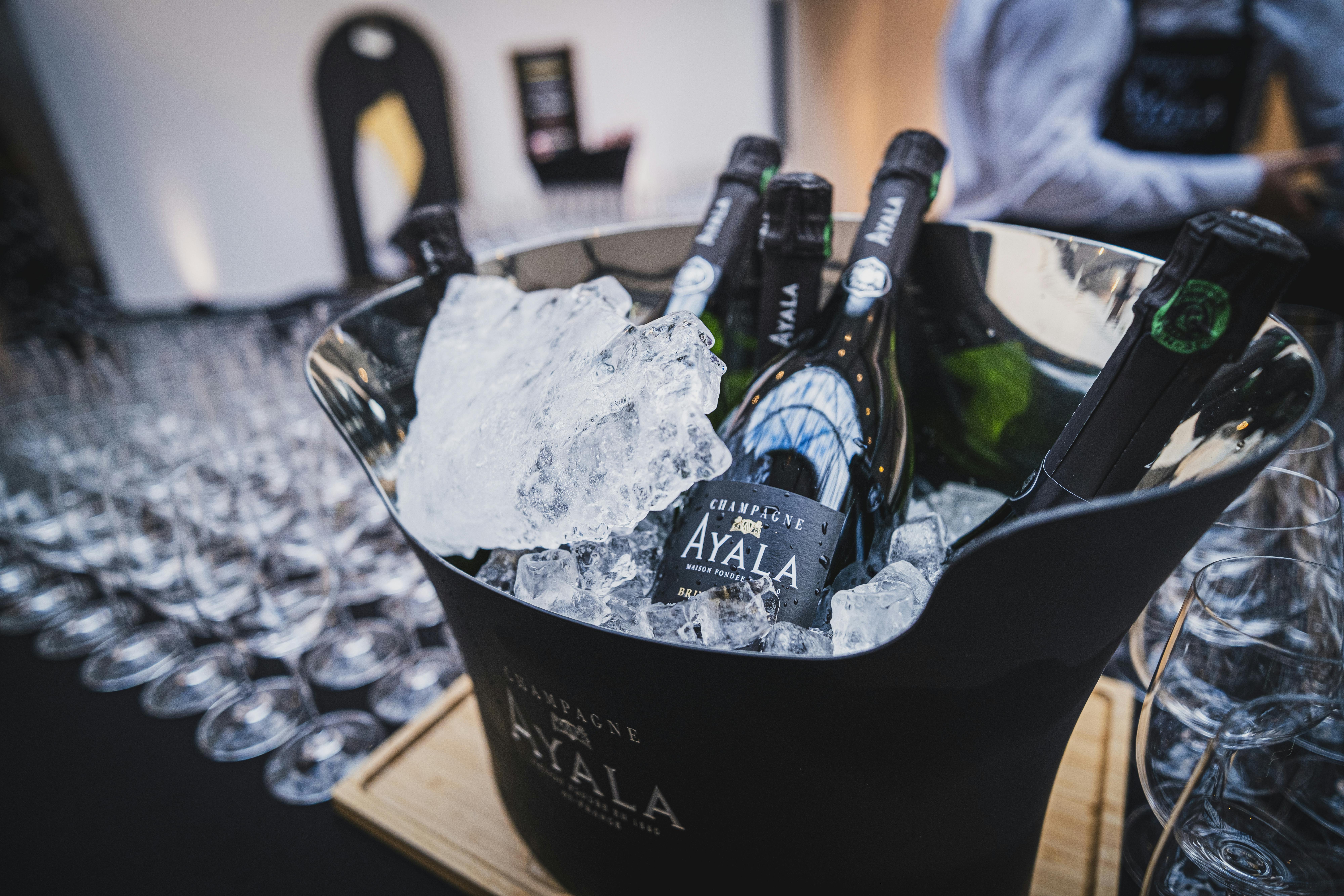 Bottles in a Bucket · Free Stock Photo