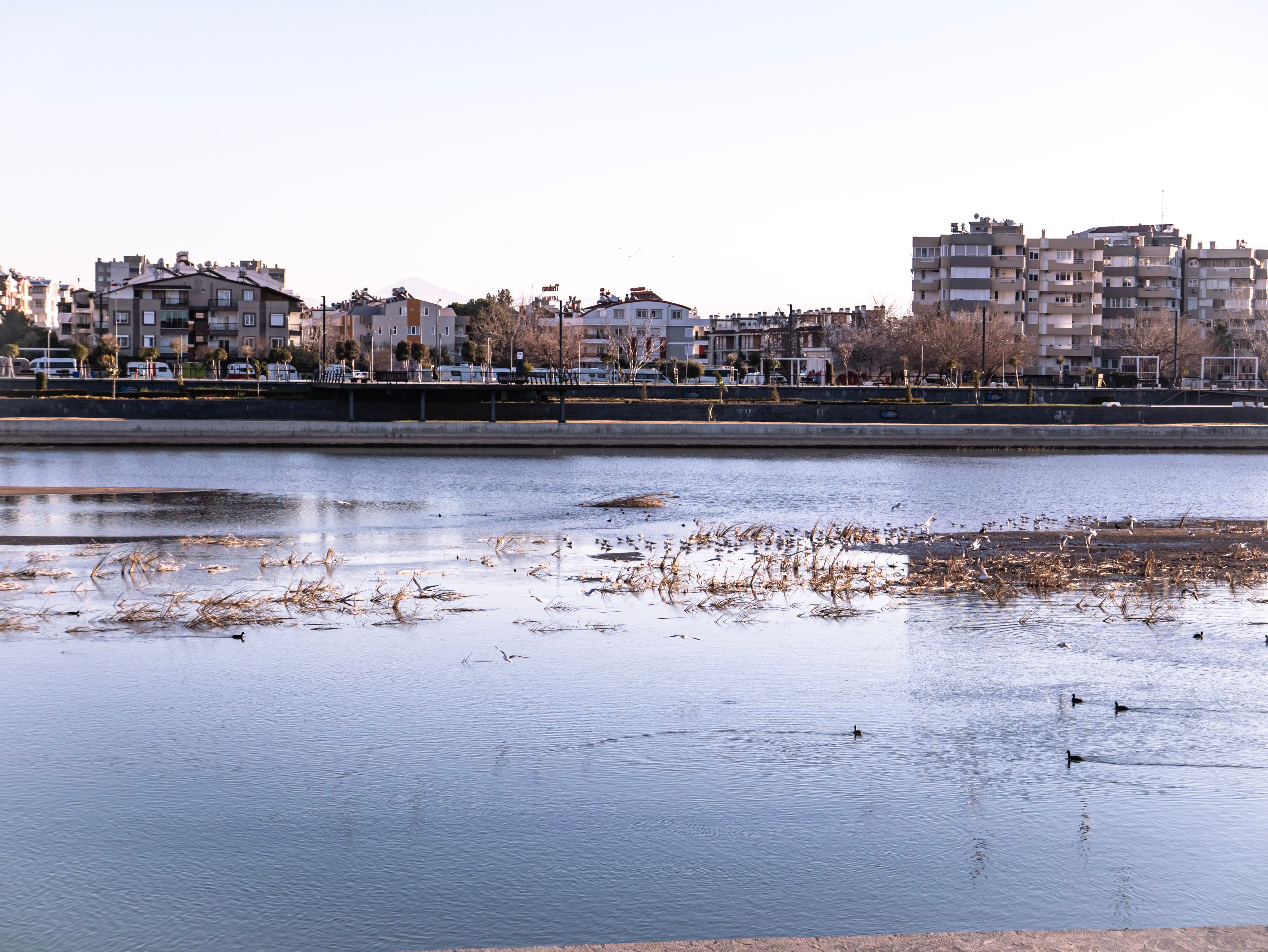 Musi River Photos, Download The BEST Free Musi River Stock Photos & HD ...