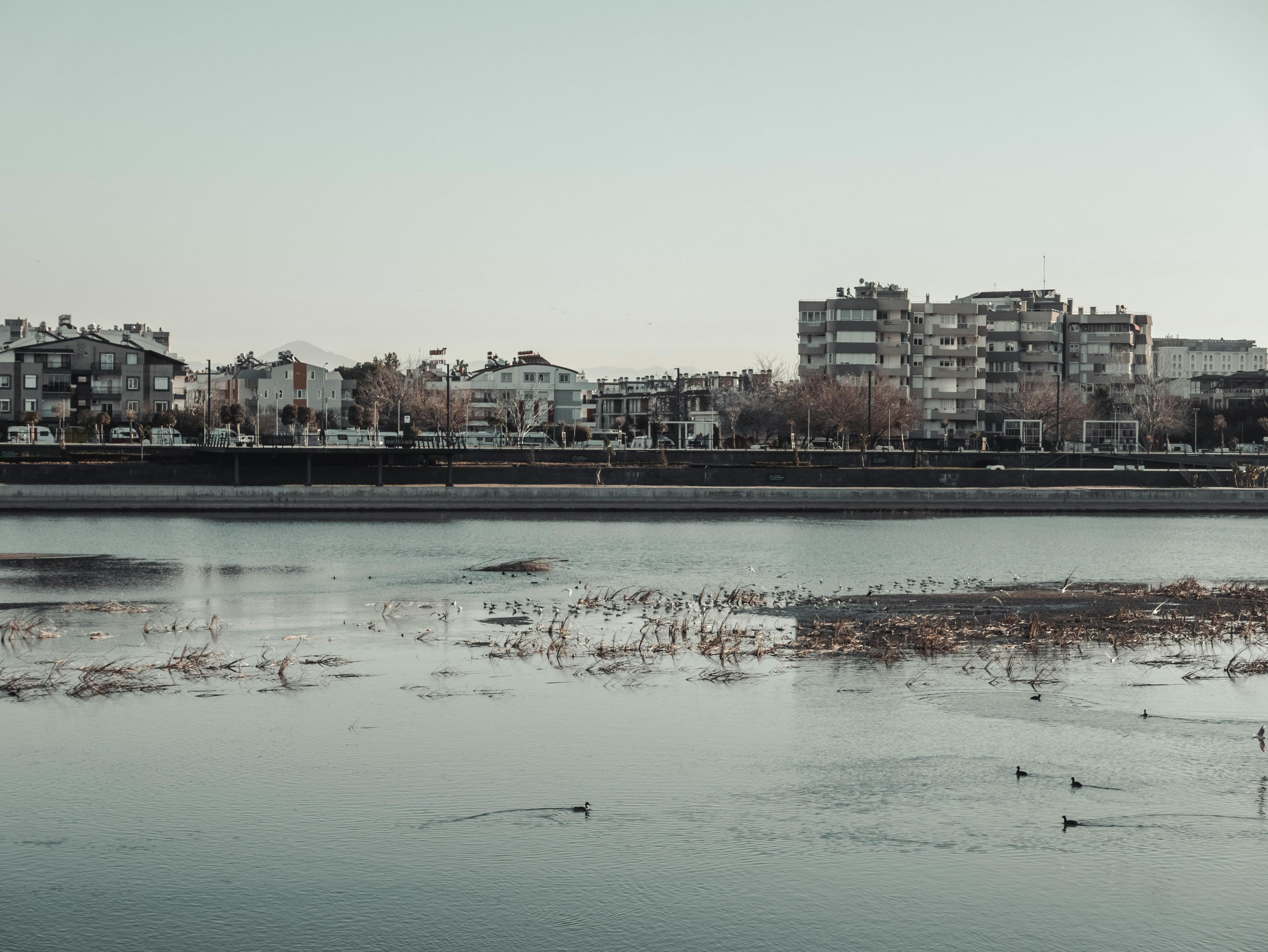 Residential Building by River · Free Stock Photo