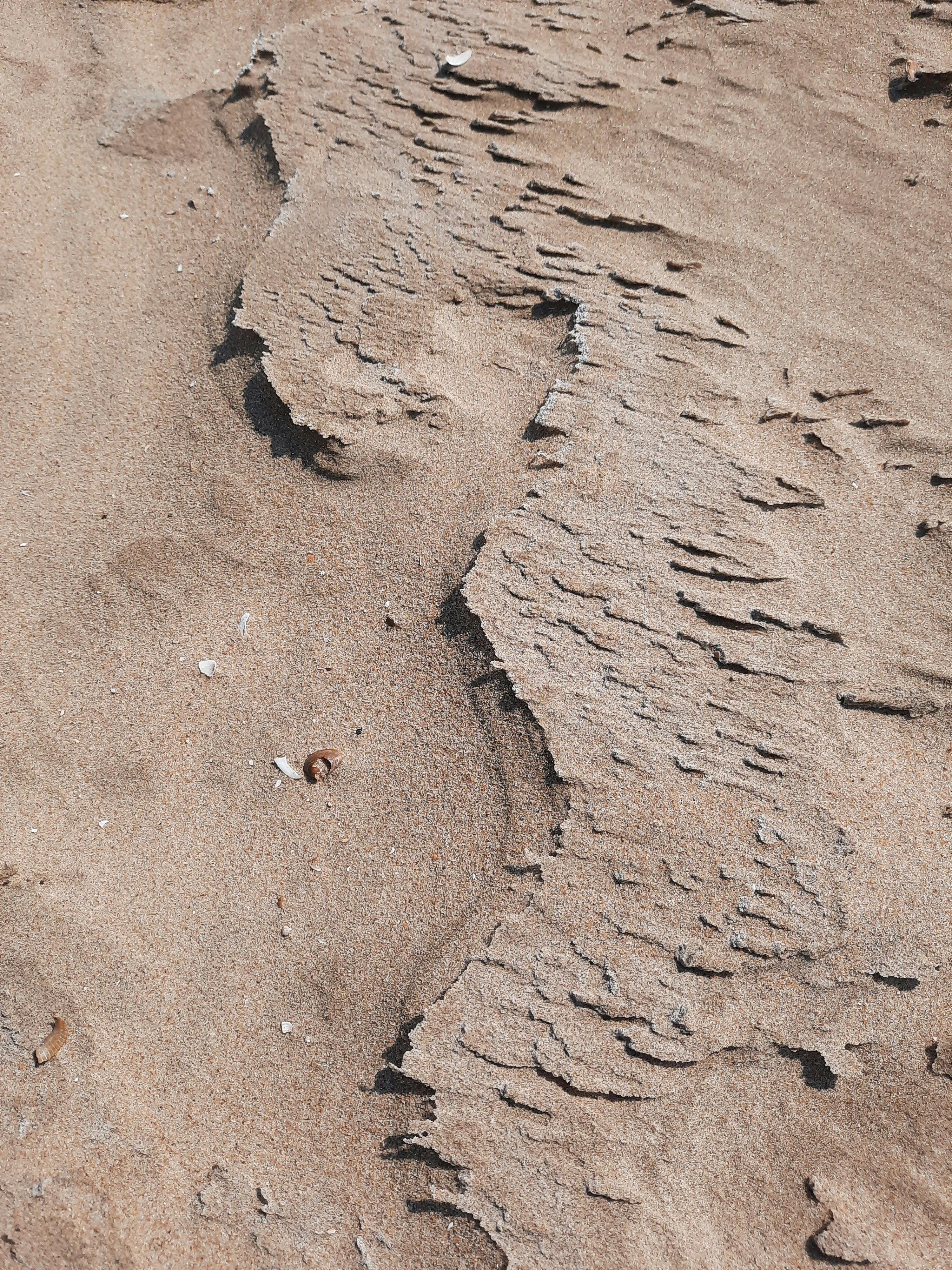 Close up of Dry Sand Ground · Free Stock Photo