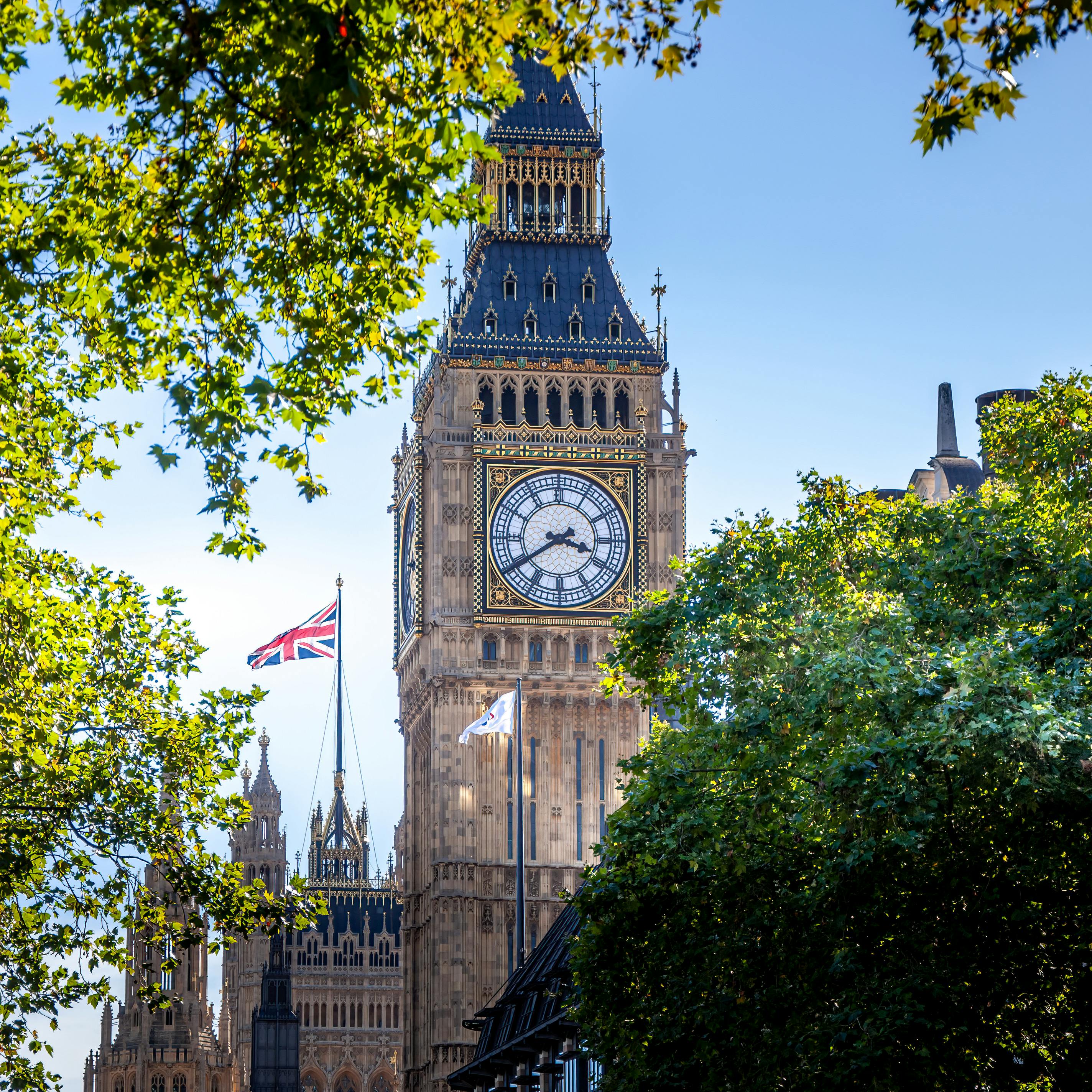 Foto de stock gratuita sobre arboles, big ben, cielo azul, cielo limpio ...