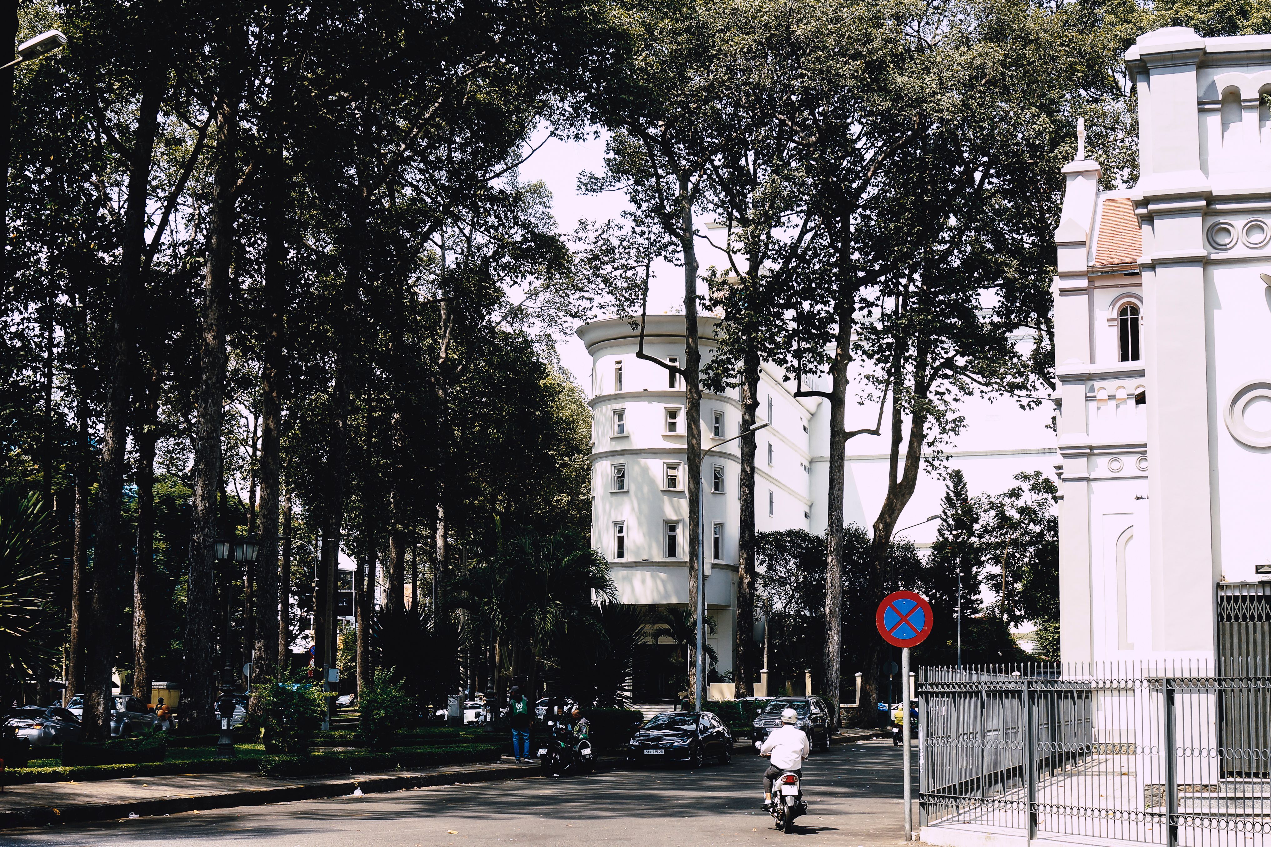 A City Street between Buildings and Trees · Free Stock Photo