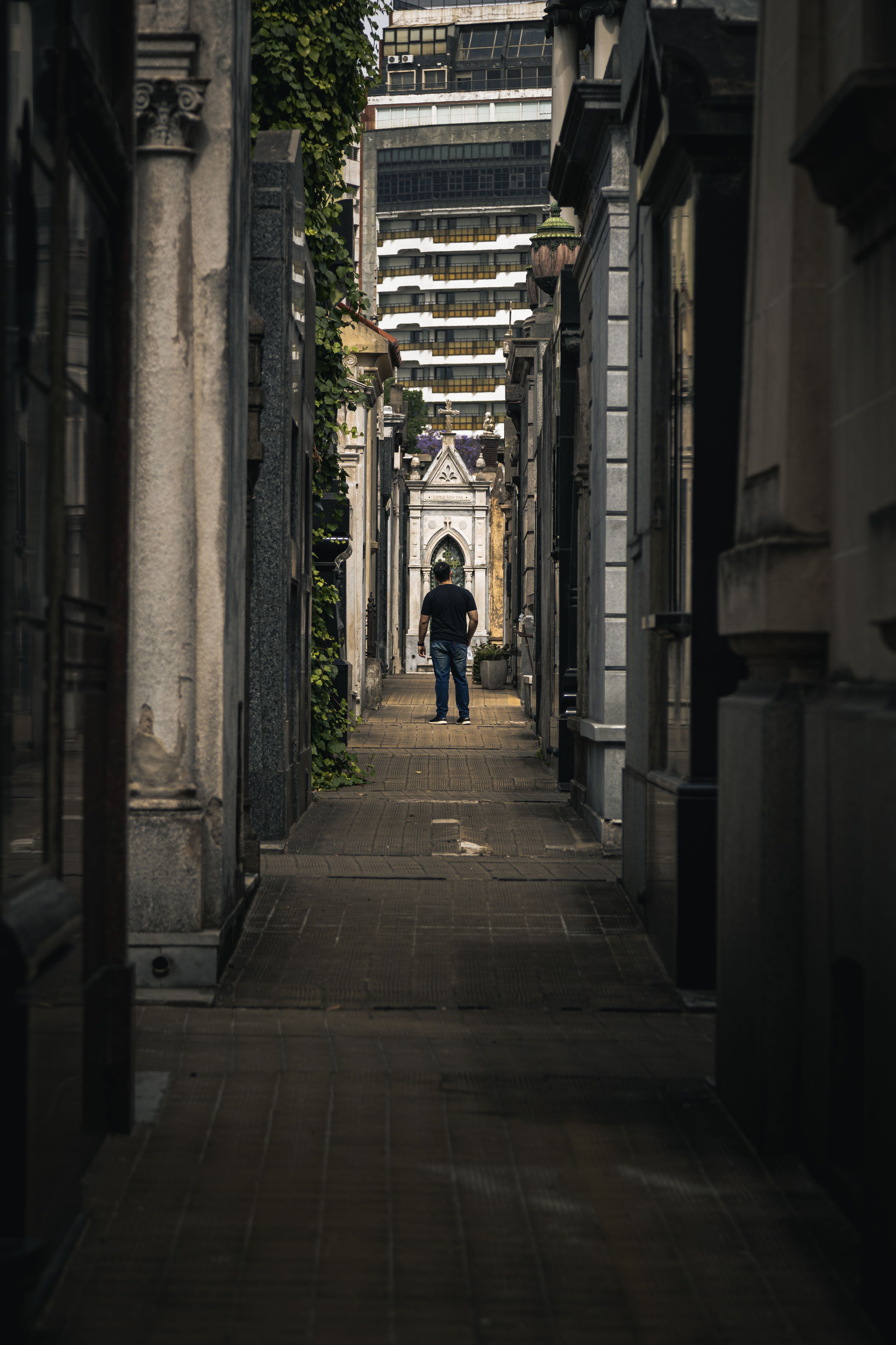 Photo of a Man Walking on a Cemetery Footpath · Free Stock Photo