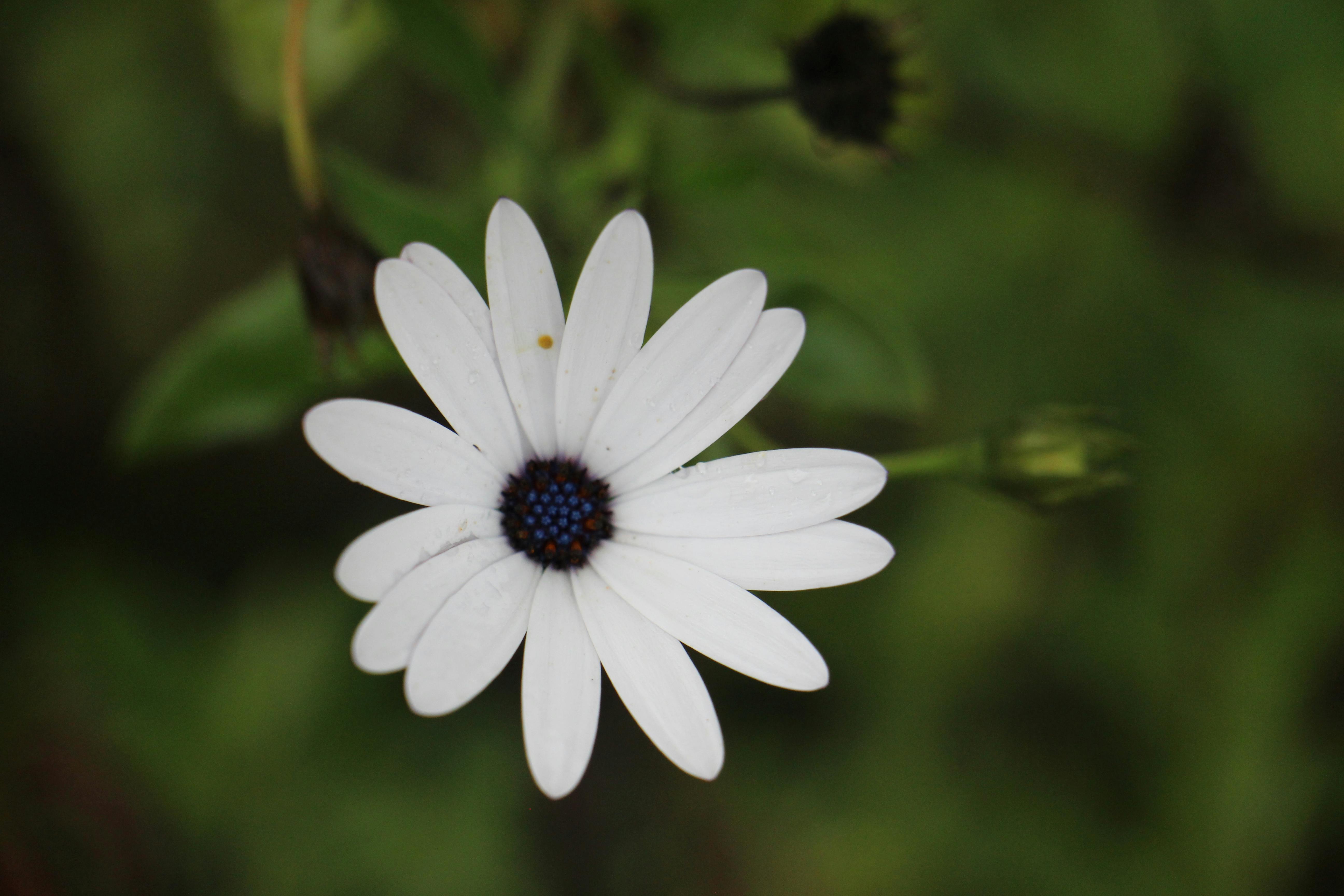 A.Vasantha Kumar - 摄影