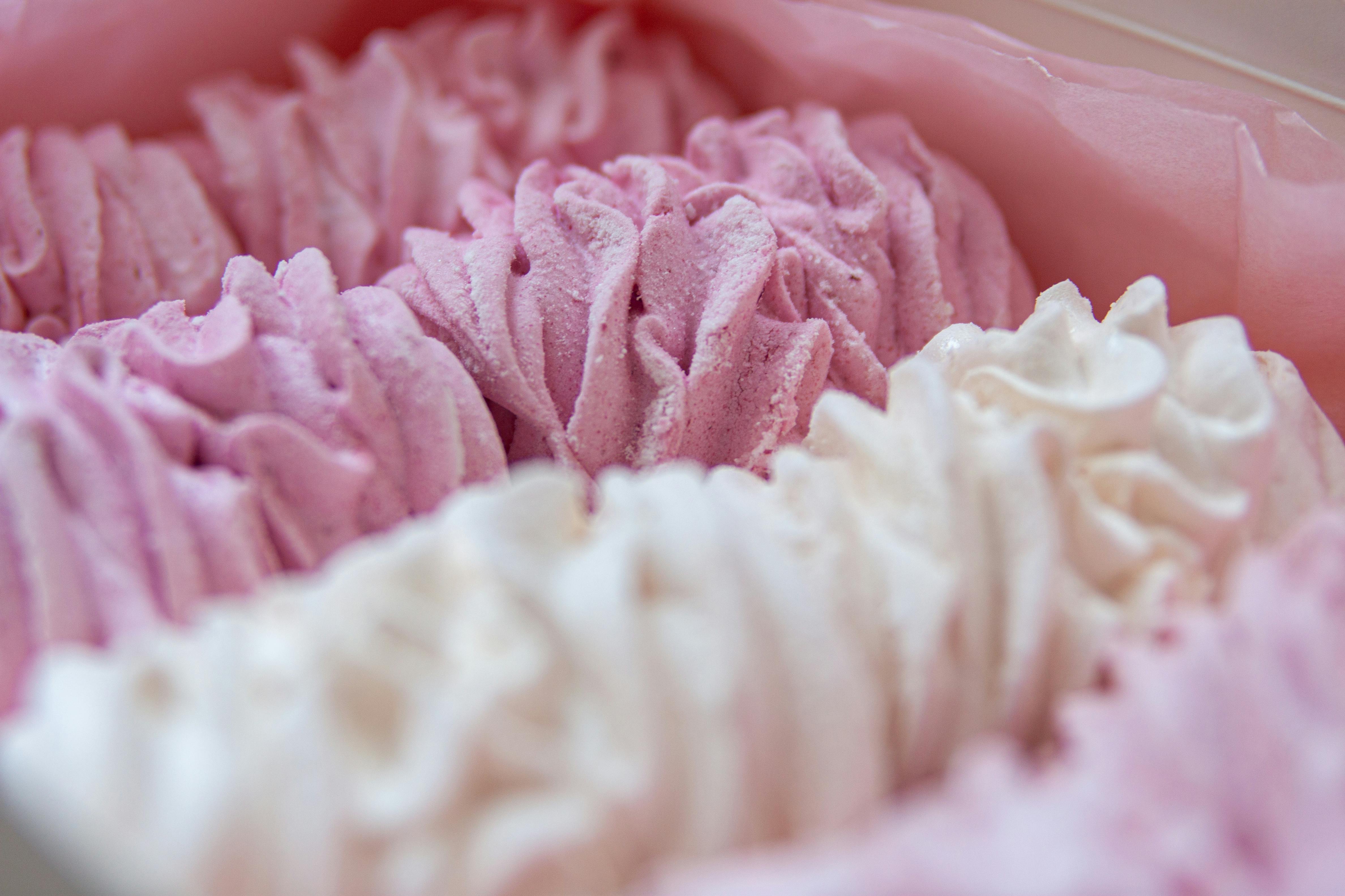 Refined Sugar Photos, Download The BEST Free Refined Sugar Stock Photos ...