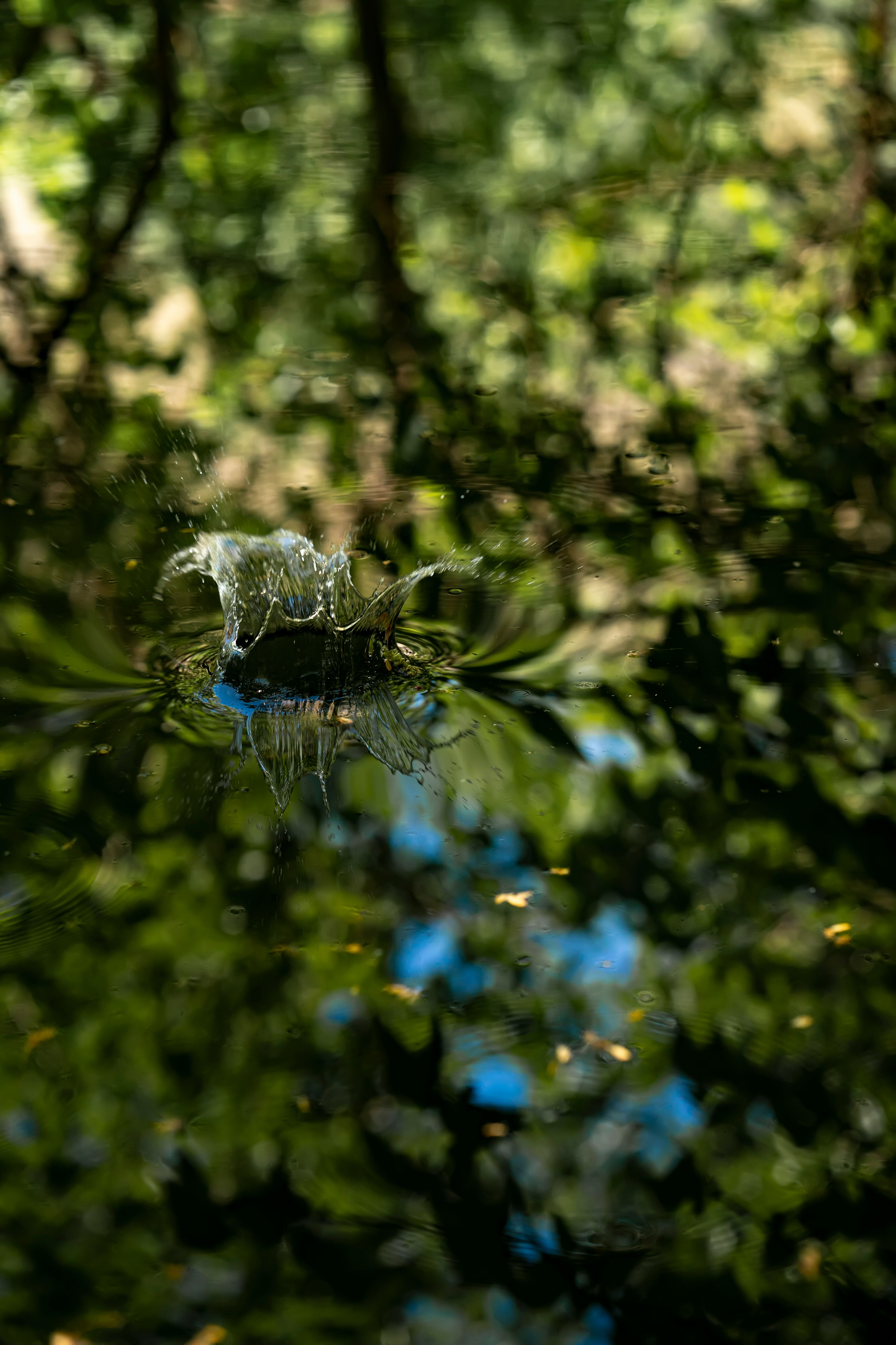 Jusce Splash Photos, Download The BEST Free Jusce Splash Stock Photos ...