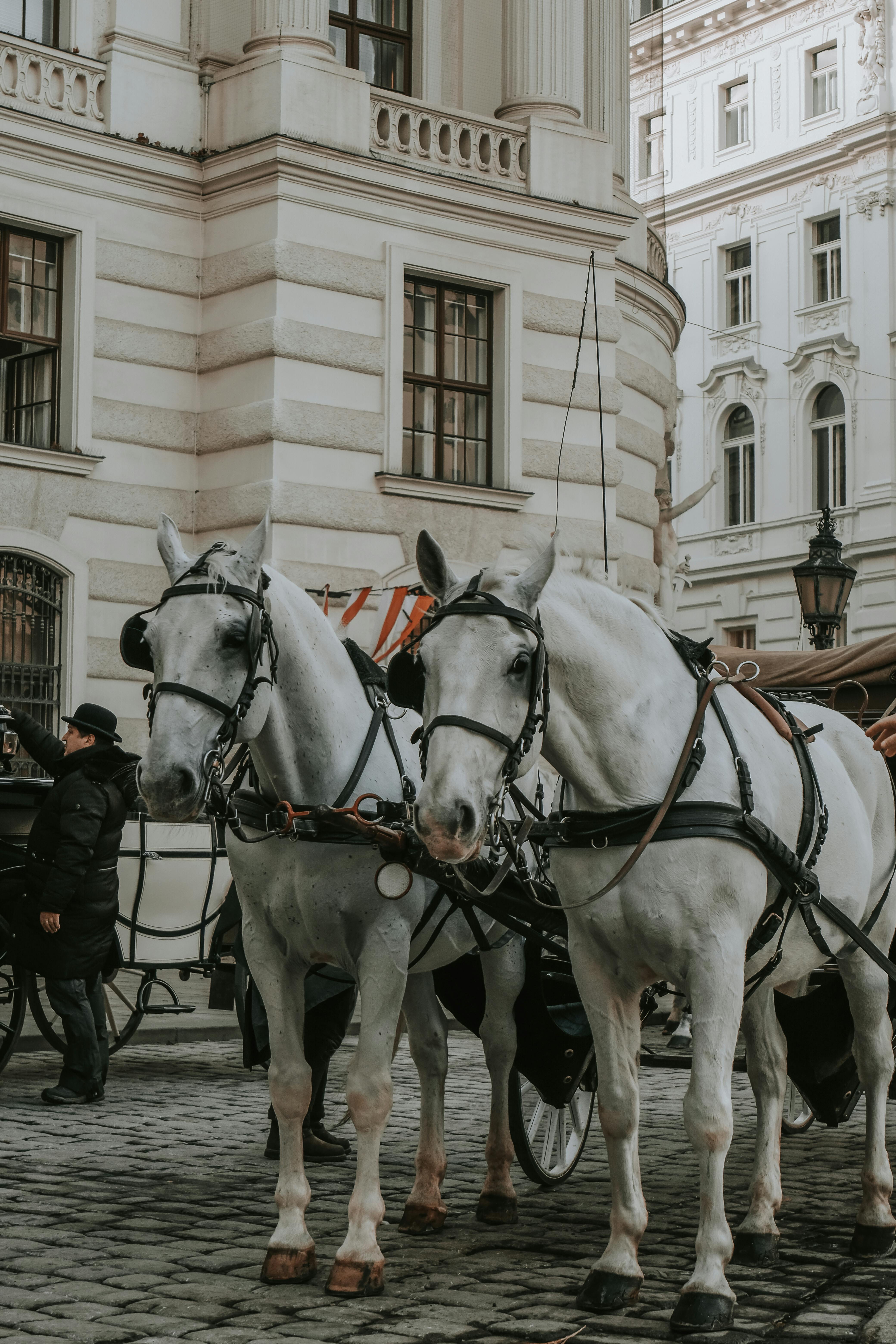 500+ Joe เข้าสู่ระบบ Pp888 Wien มาสคาร่าเขียวของแท้ Bilder und Fotos · Kostenlos Downloaden ...