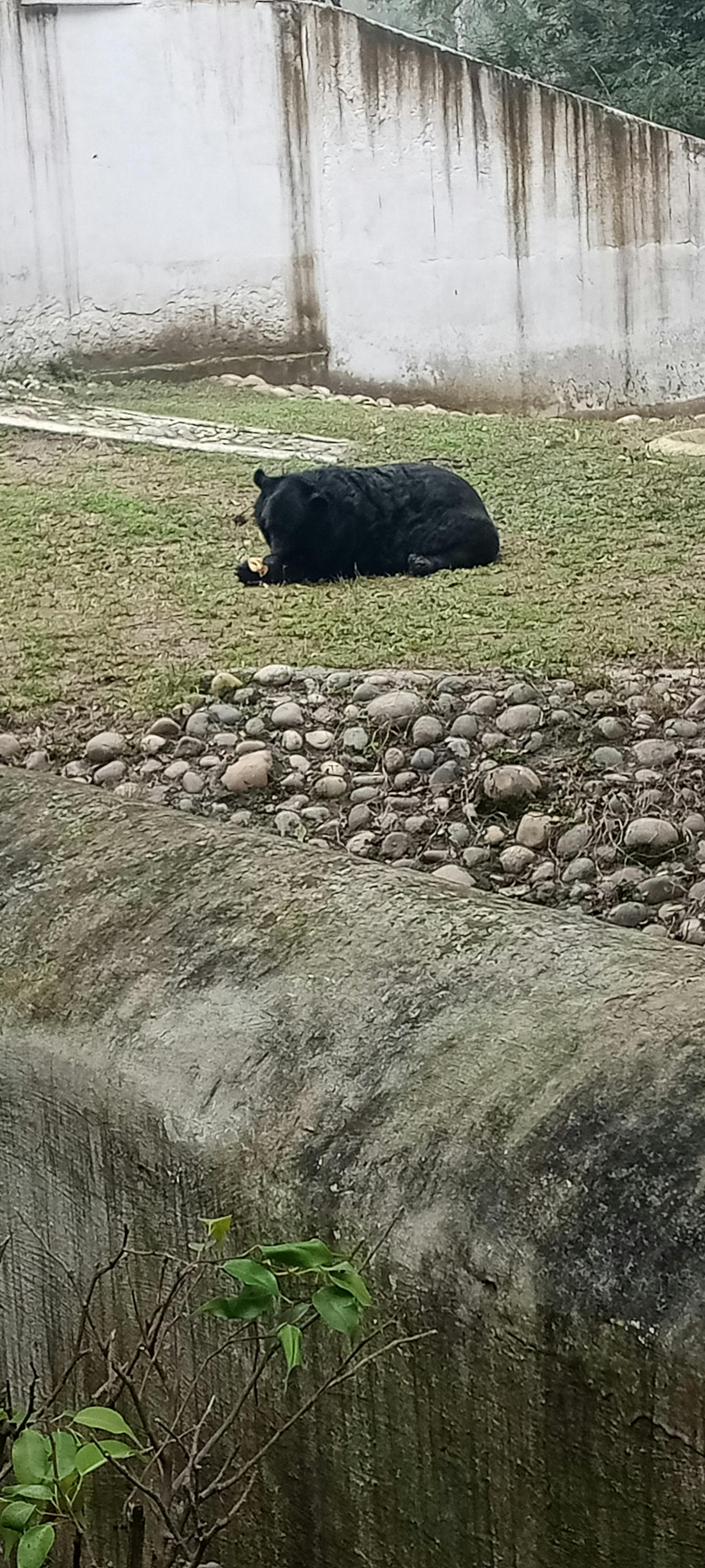 Killer Boy mehra - Photography