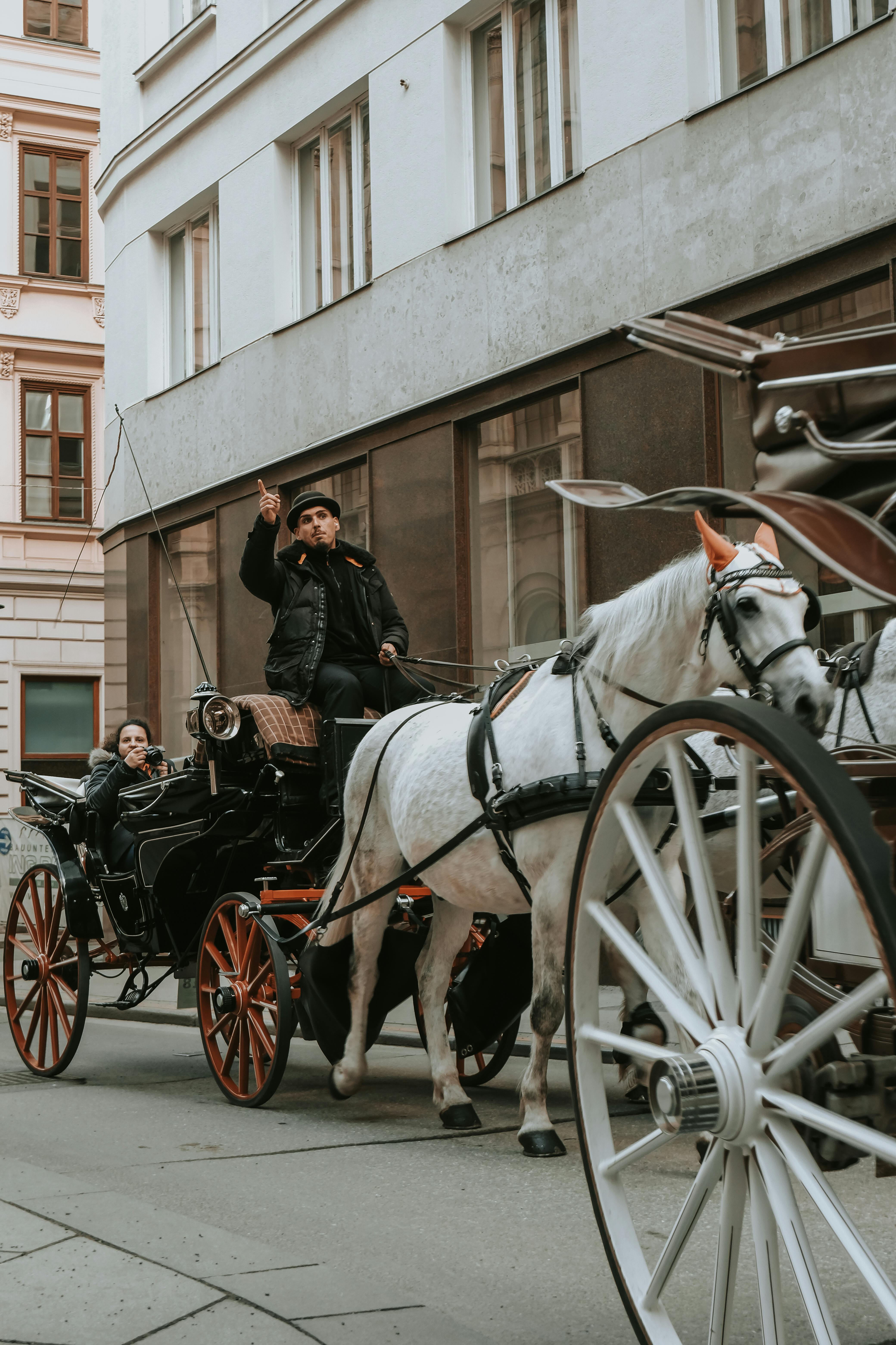Horsecarriage Photos, Download The BEST Free Horsecarriage Stock Photos ...