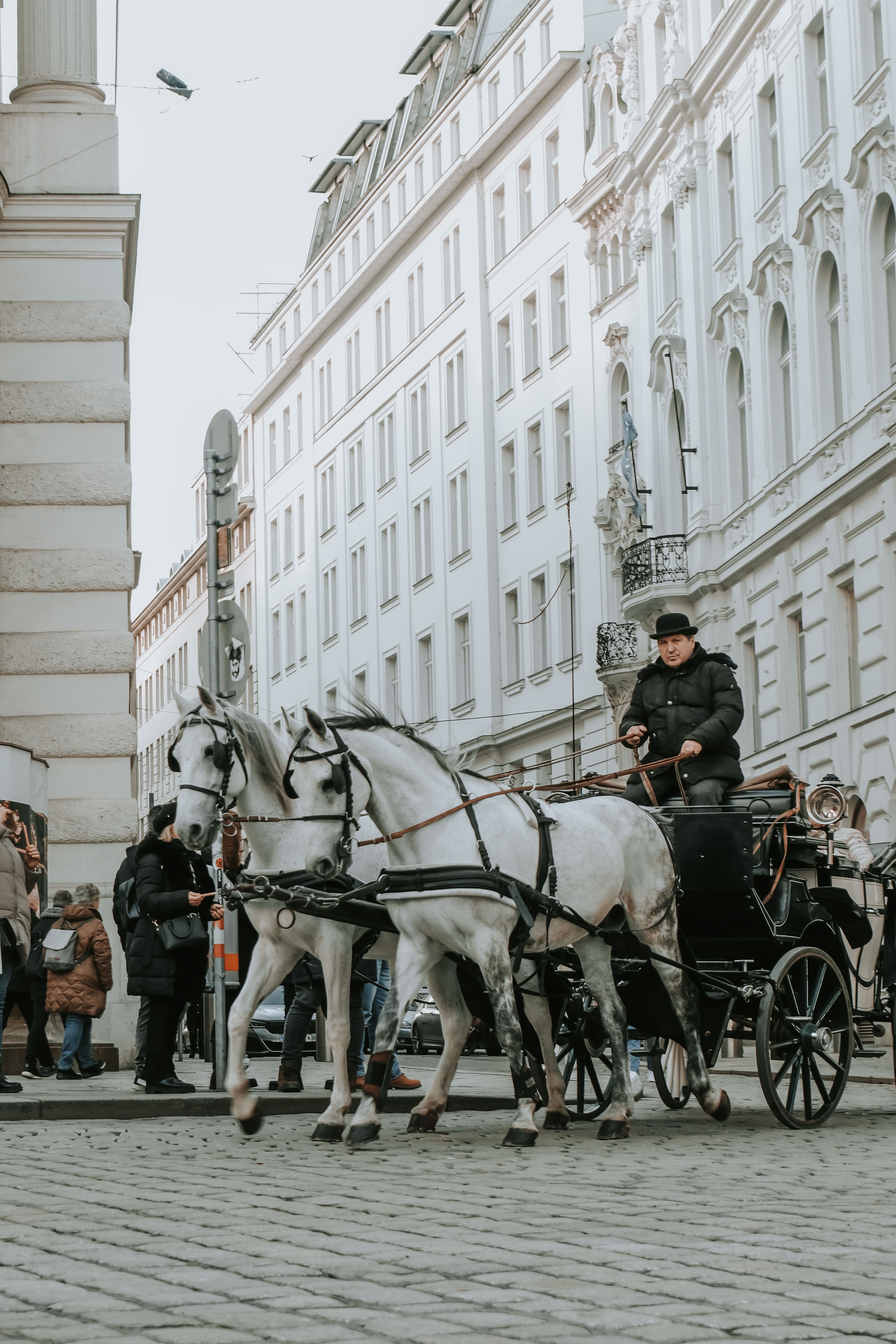 A man rides a horse drawn carriage through a city · Free Stock Photo