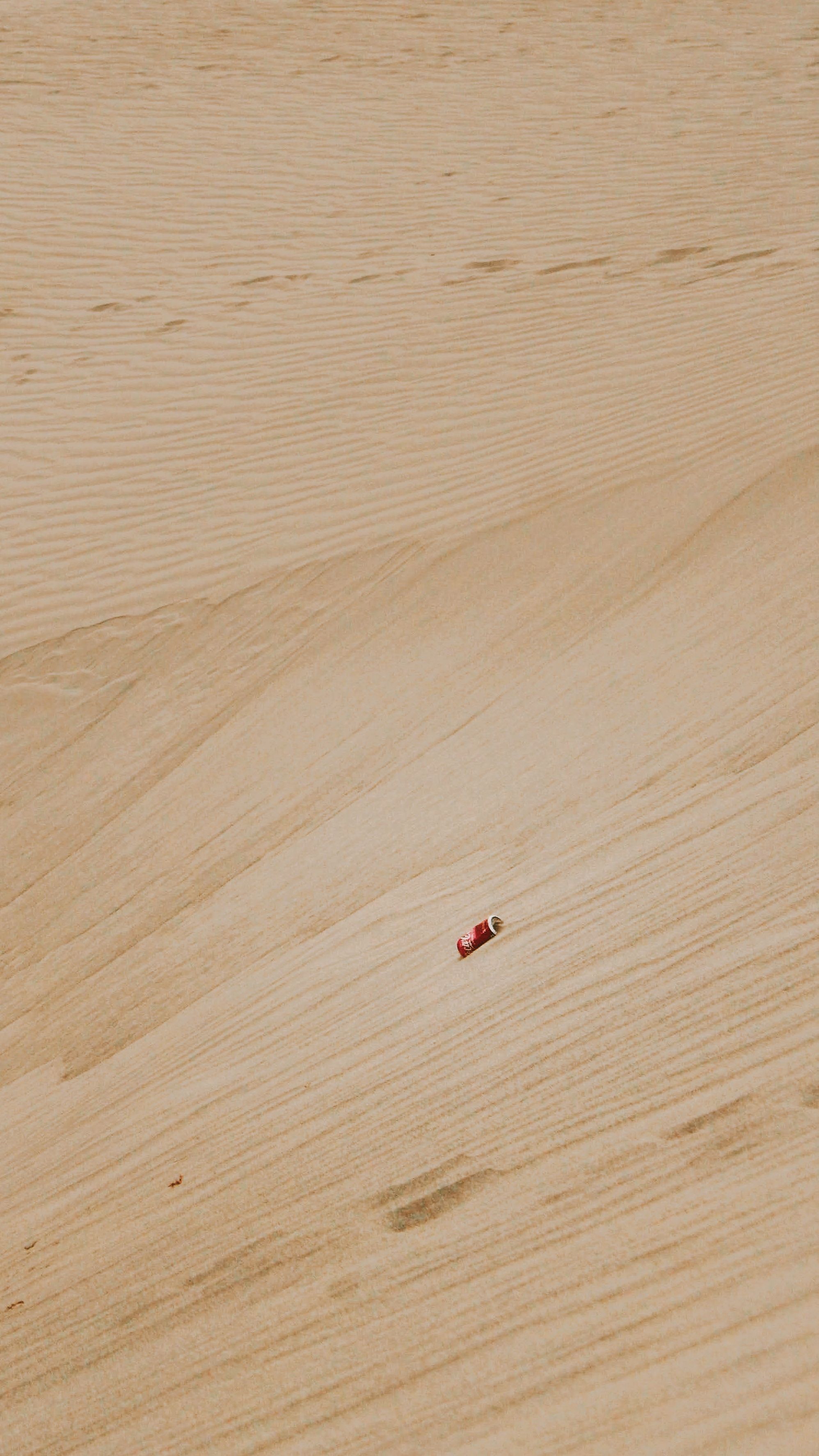 A Close-up of a Wooden Parquet · Free Stock Photo