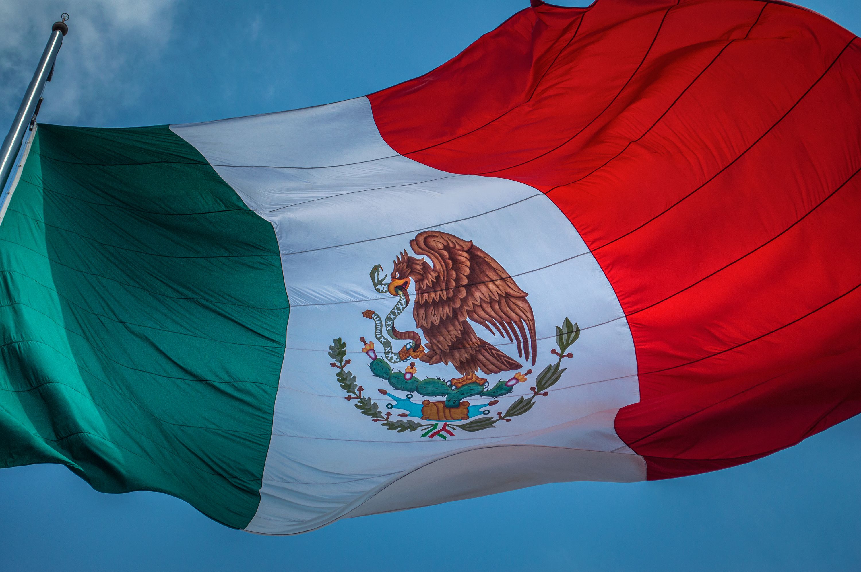 La Bandera Nacional De México · Foto de stock gratuita